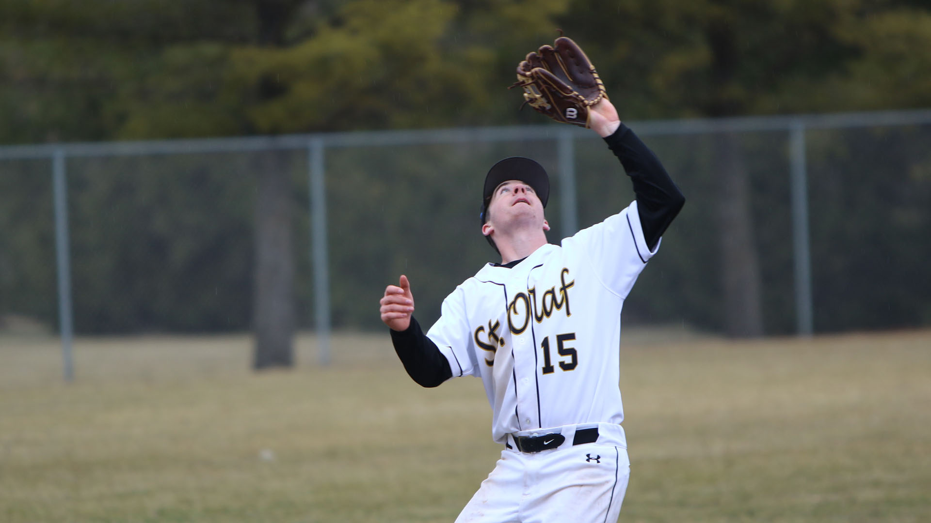 Dylan Blake - Baseball - St. Olaf College Athletics