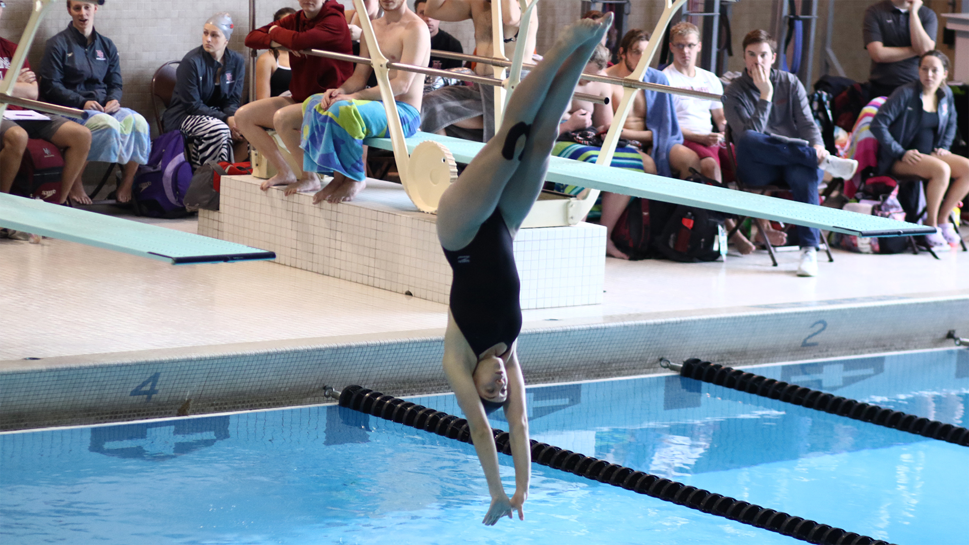 Julia Cordes - Women's Swimming and Diving - St. Olaf College Athletics
