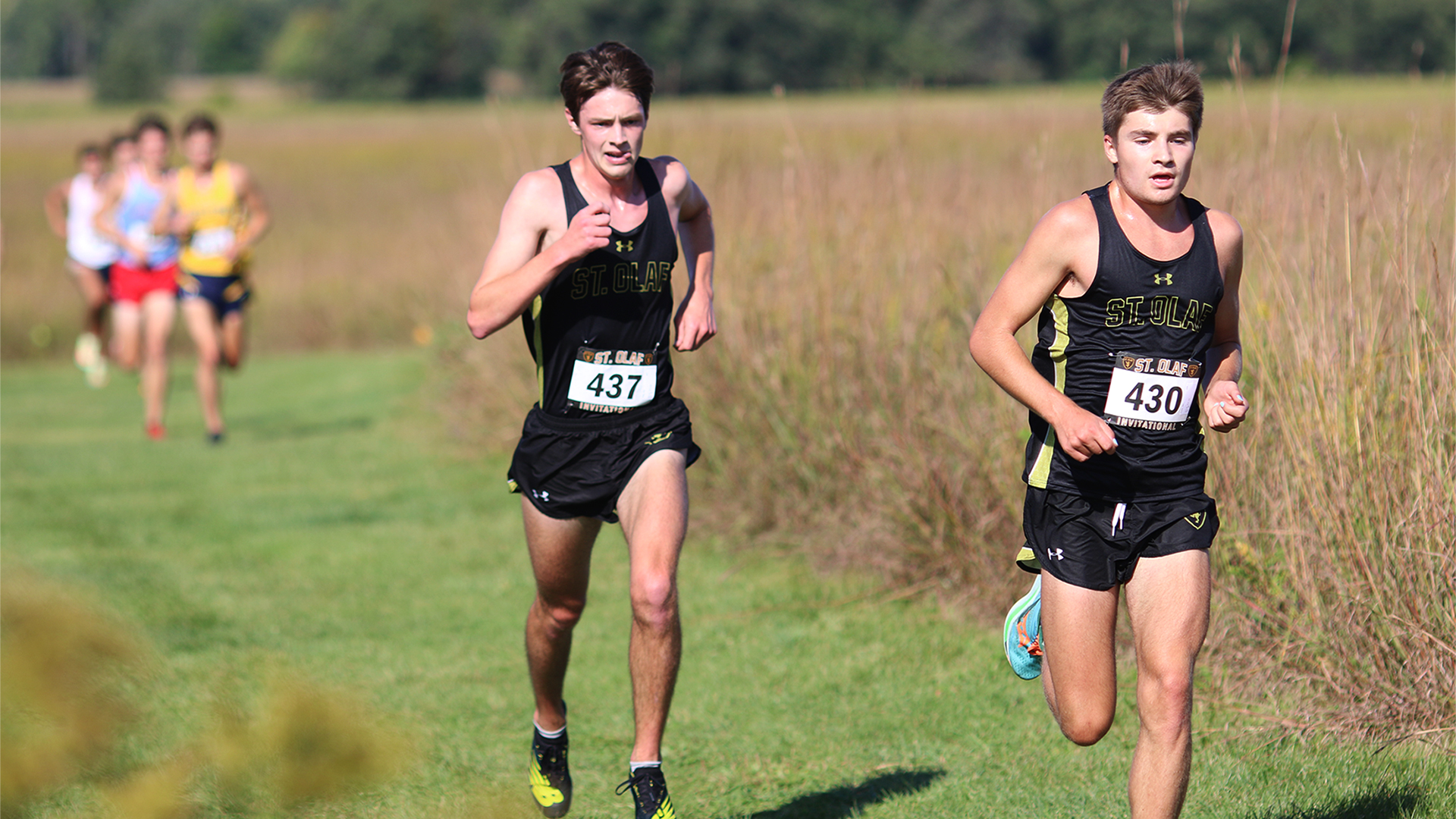 Will Kelly - Men's Cross Country - St. Olaf College Athletics