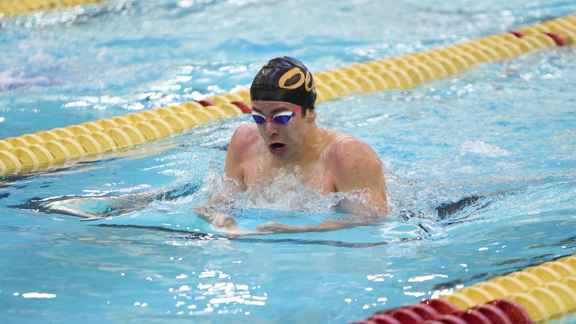 Tim Rizzo - Men's Swimming and Diving - St. Olaf College Athletics