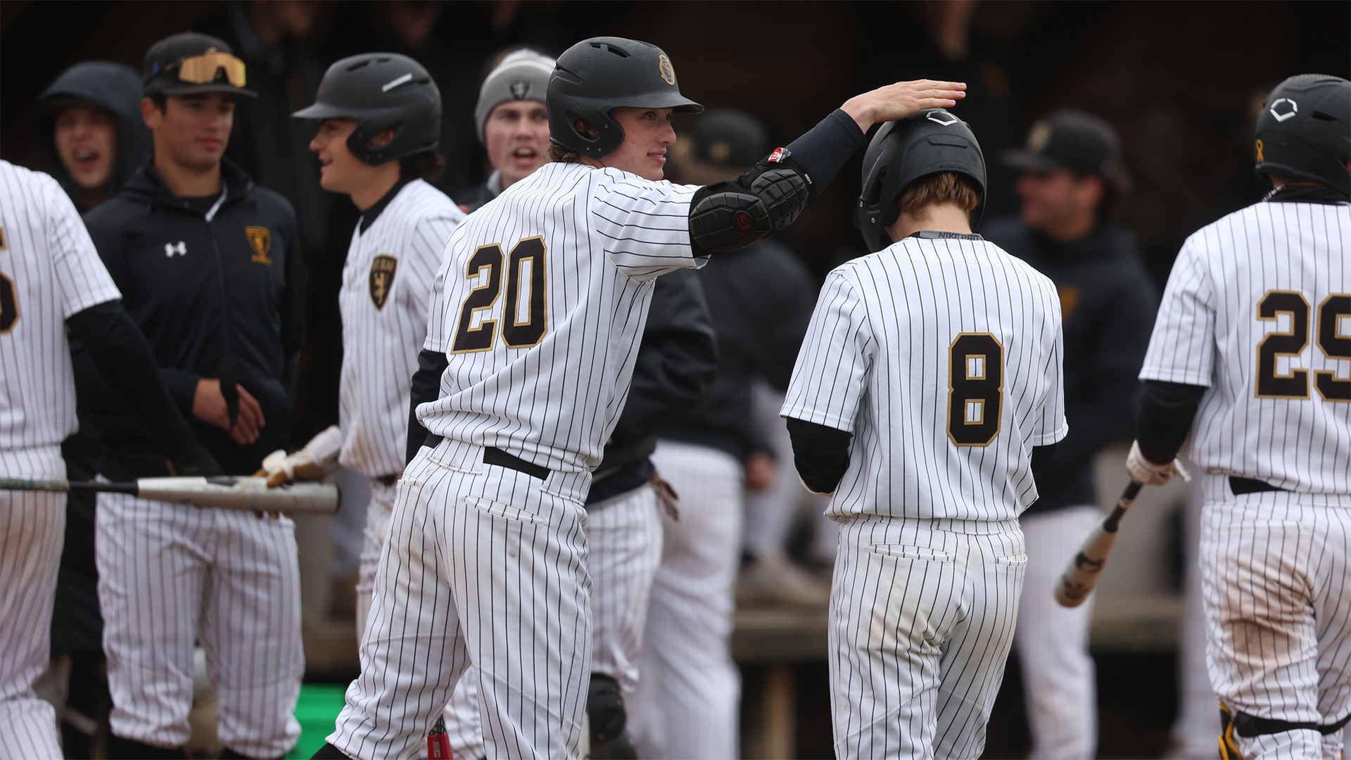 Sam Lavin - Baseball - St. Olaf College Athletics