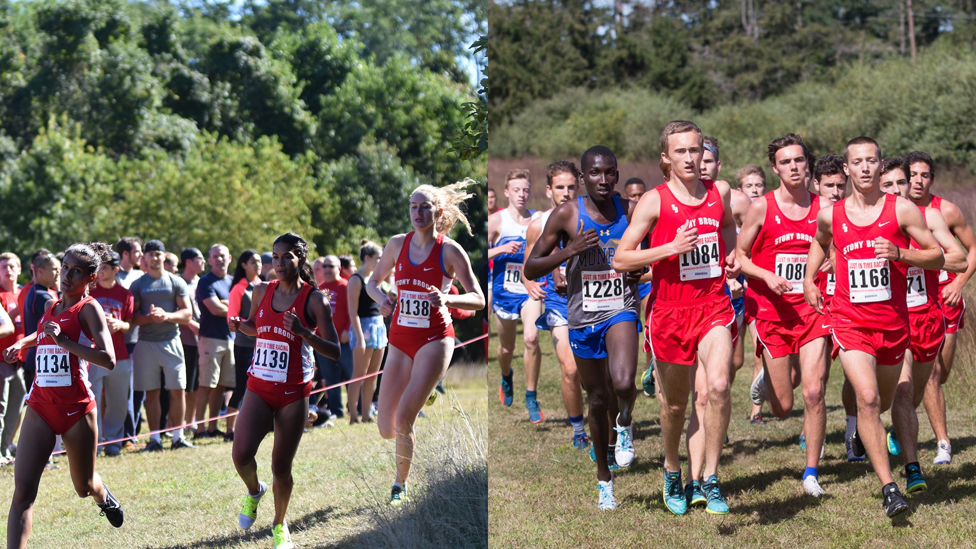 Cameron Avery - Cross Country - Stony Brook University Athletics