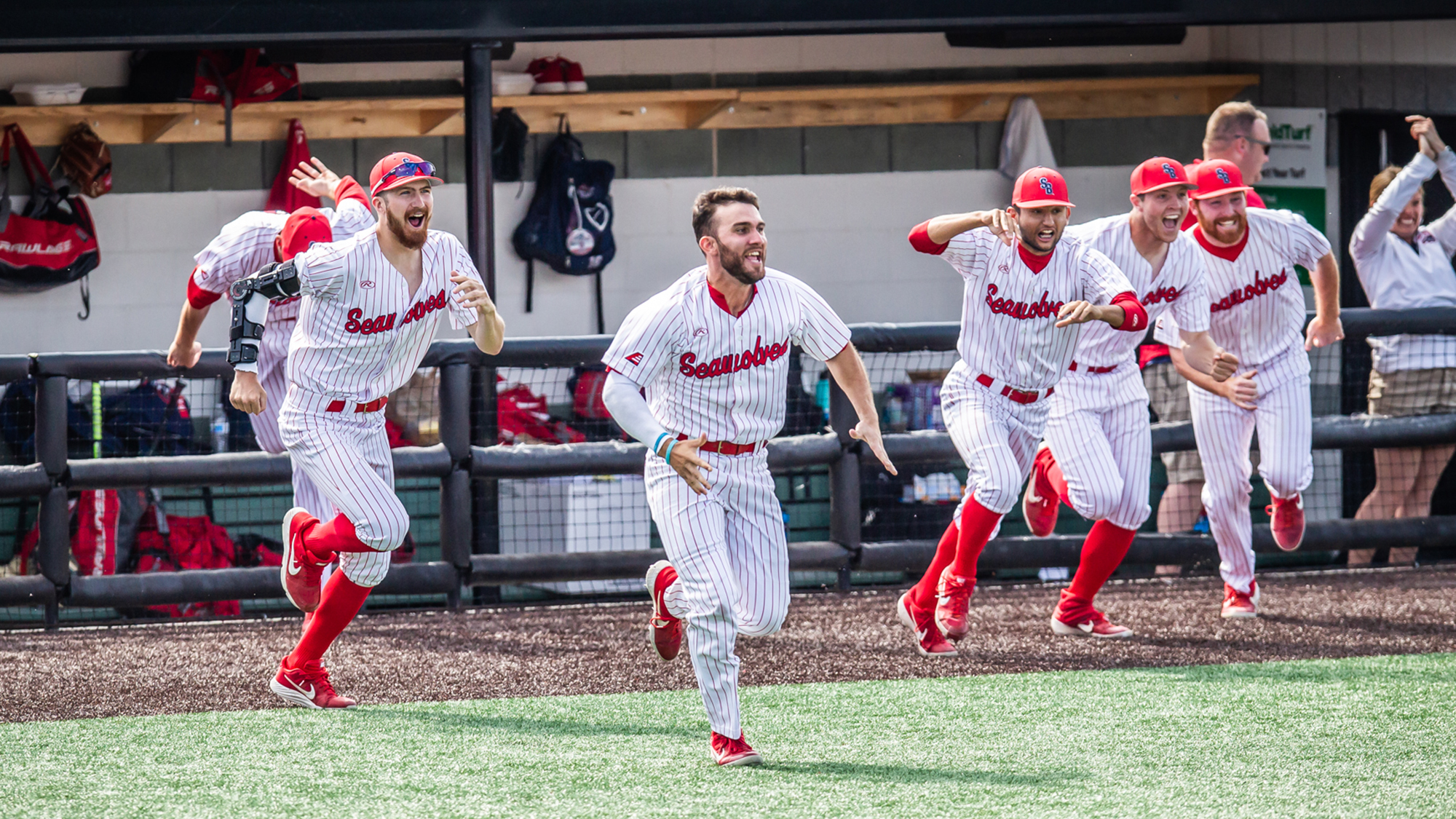 Sean Buckhout - Baseball - Stony Brook University Athletics