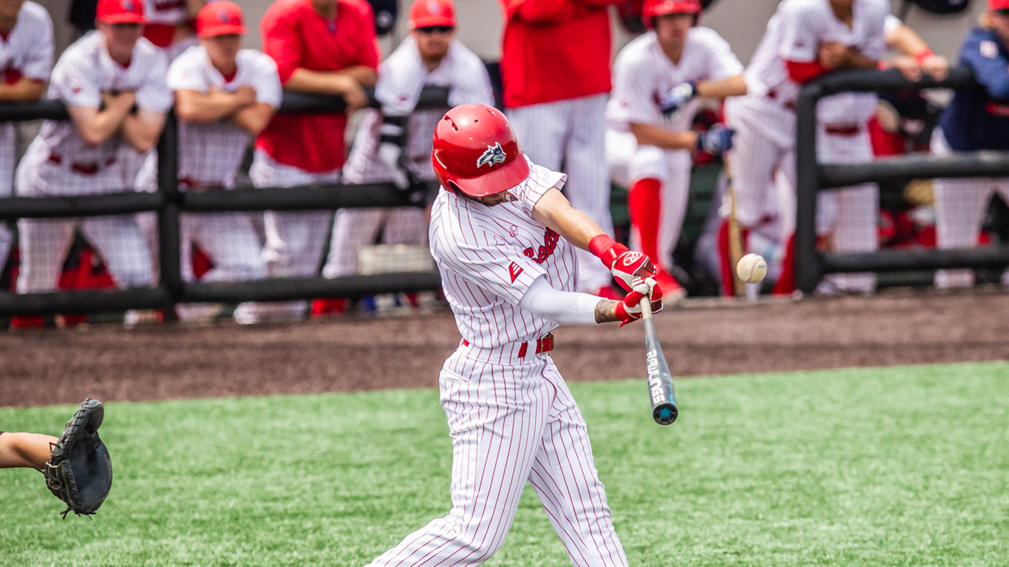 Brandon Janofsky - Baseball - Stony Brook University Athletics