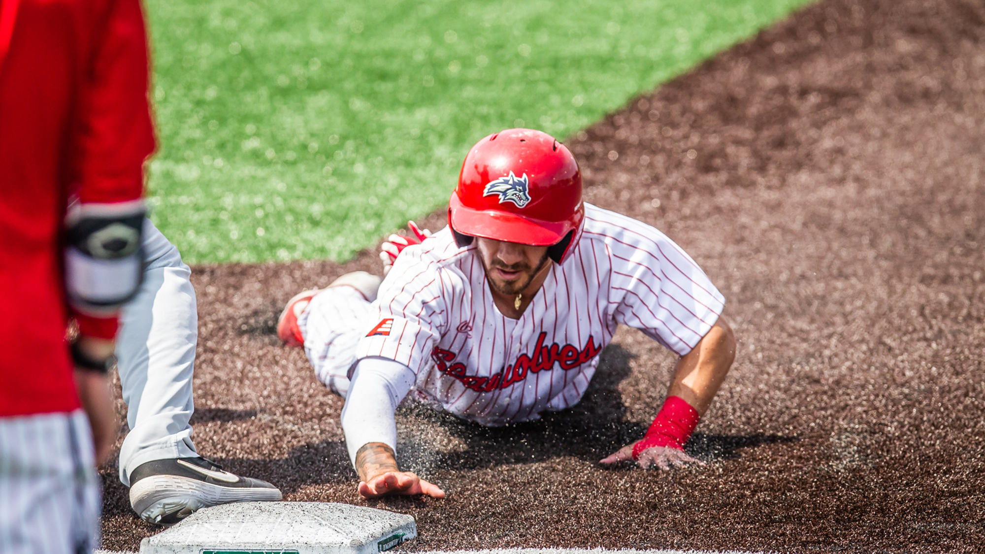 Brandon Janofsky - Baseball - Stony Brook University Athletics