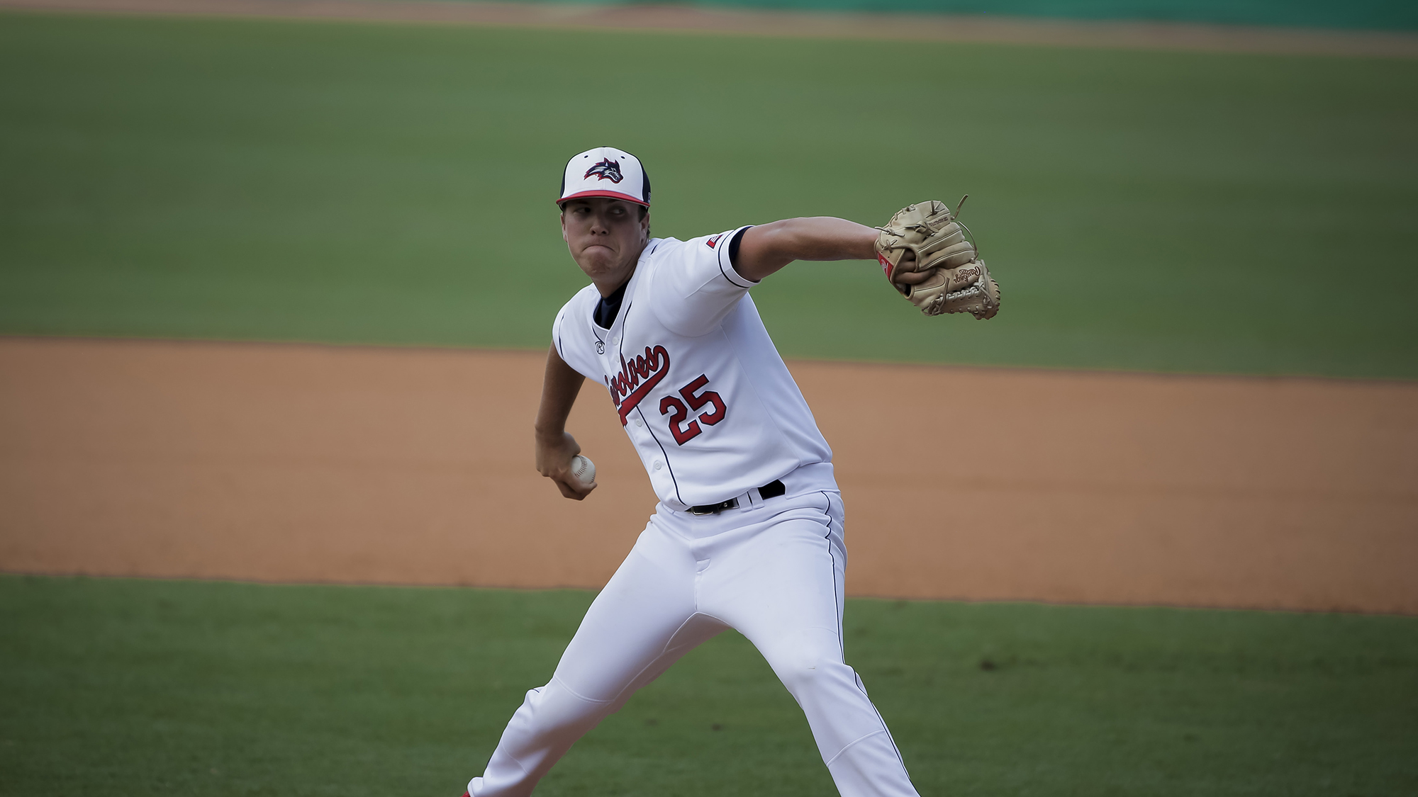 Adam Erickson - Baseball - Stony Brook University Athletics