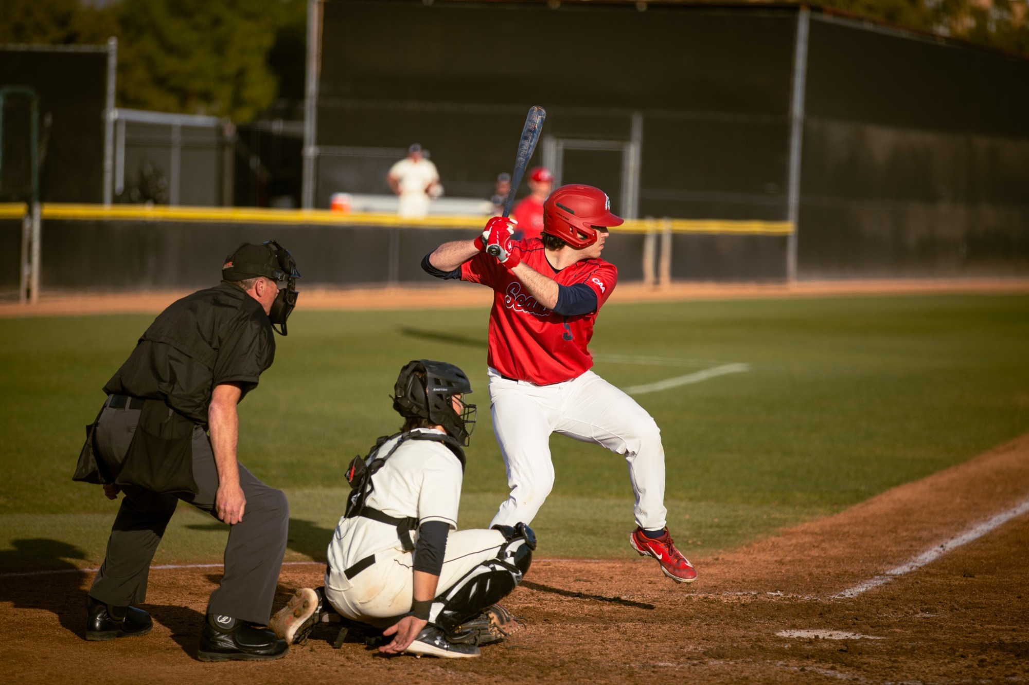 Baseball Falls Late In Series Finale At Cal State Northridge - Stony ...