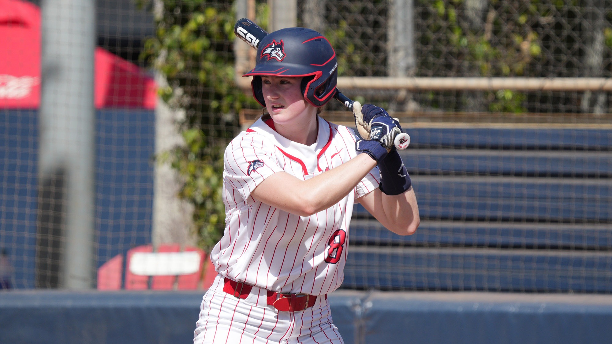 Softball Slugs Past Central Connecticut State in Battle at the Bay ...