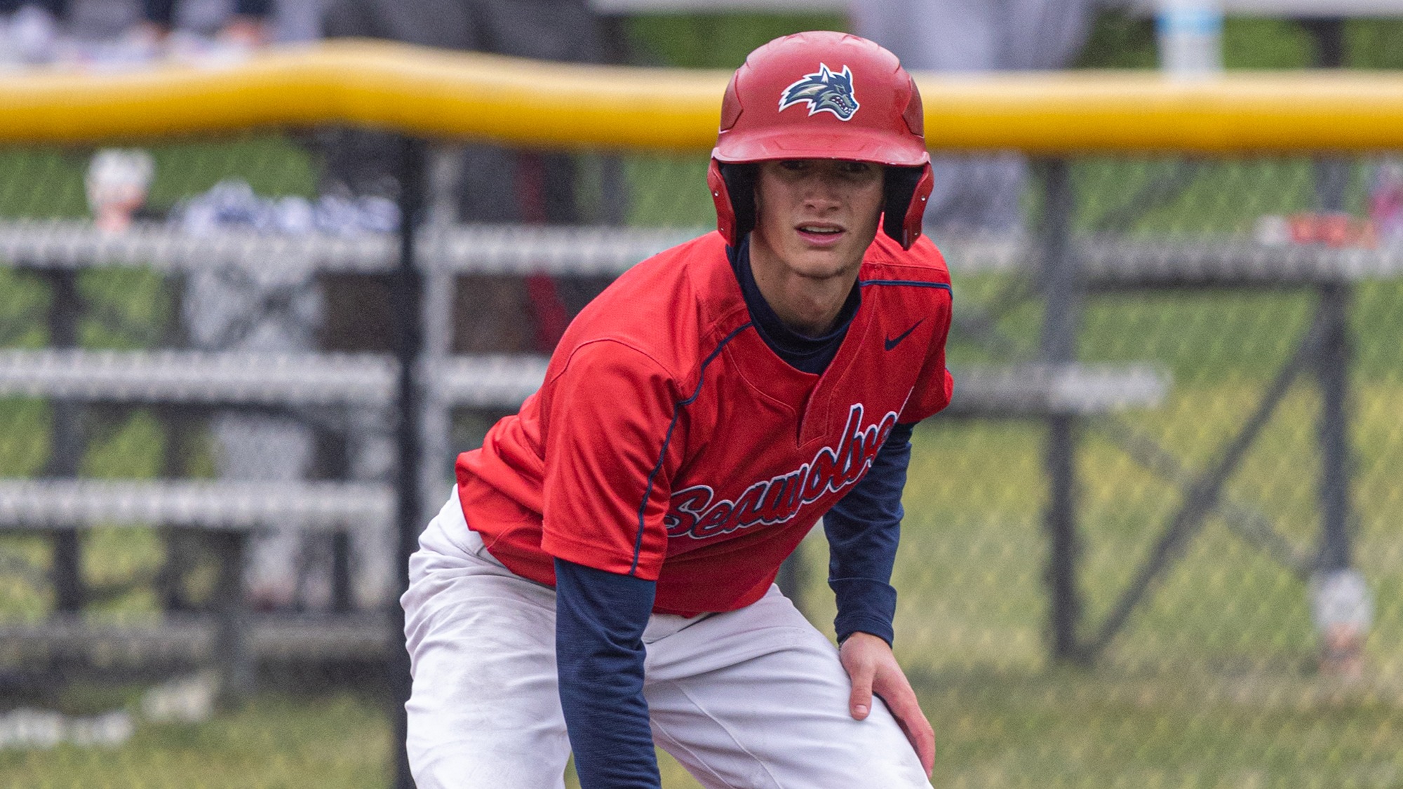 Fox Ties Stony Brook Single-Season Stolen Base Record as Seawolves ...