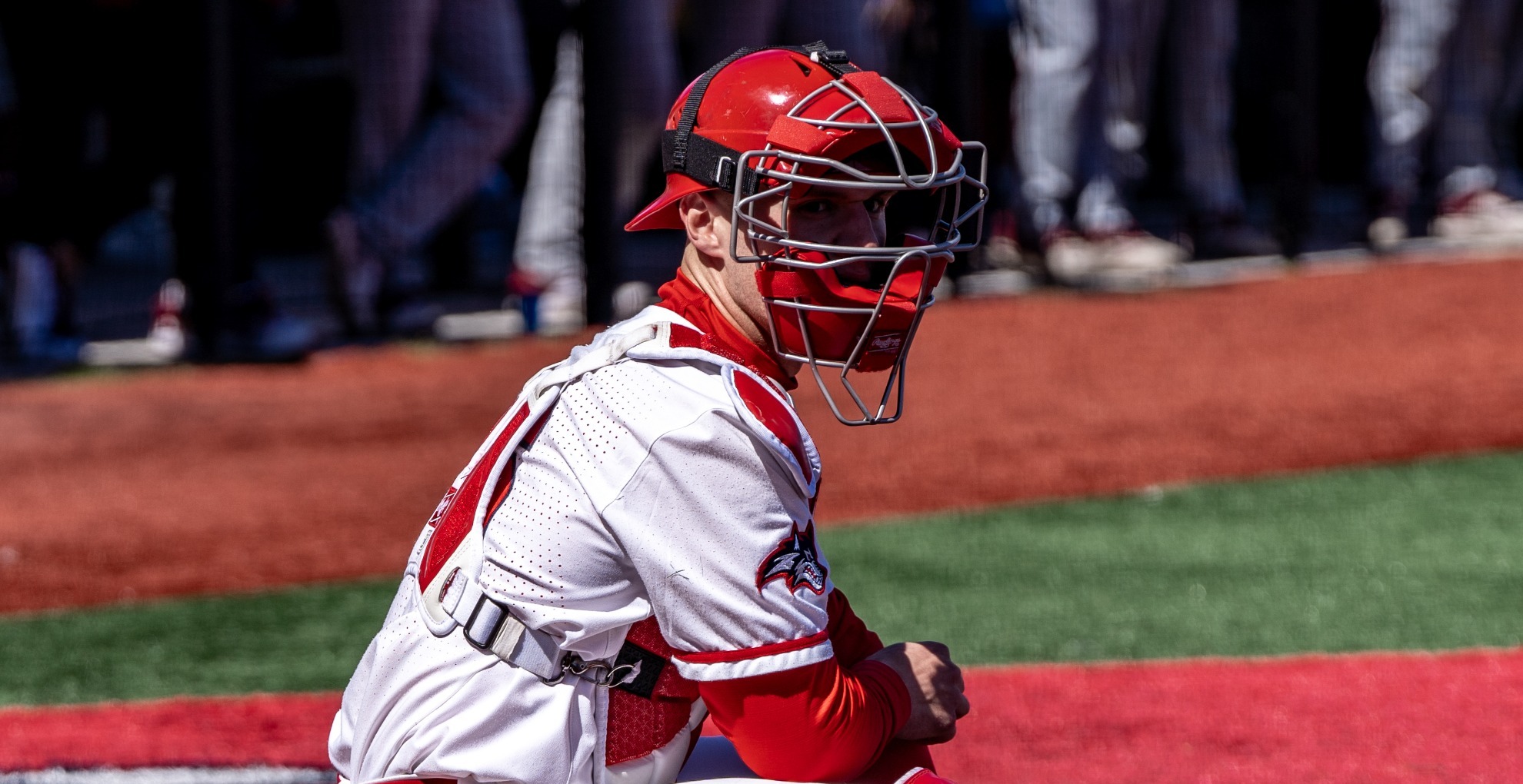 Stony Brook Late Rally Comes Up Short Against Hofstra at Joe Nathan ...