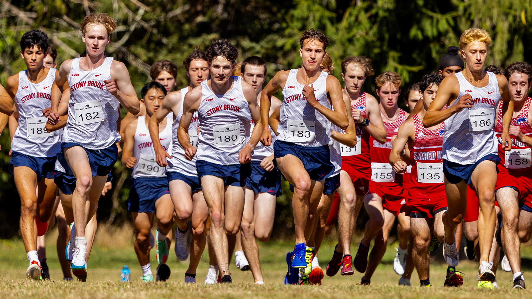 Cross Country Announces 2025 Schedule - Stony Brook University Athletics