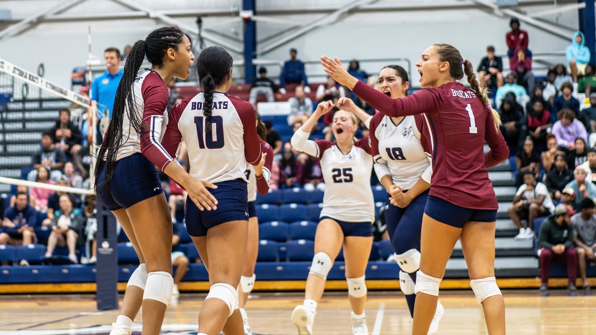 Dominance Continues, No. 24 Volleyball Rolls Past the Royals - St ...