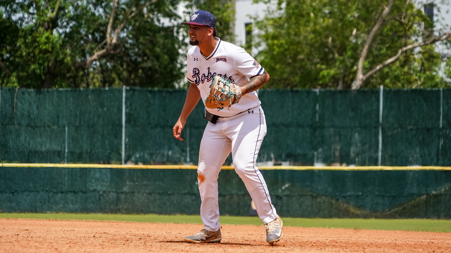 Angelo Piloto - 2024 - Baseball - St. Thomas University Athletics