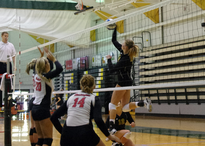 Emily Rosati - Women's Volleyball - Saint Vincent College