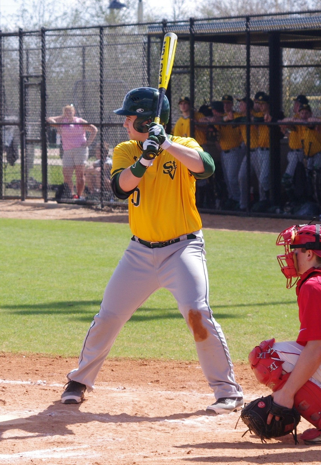 Greg Martin - Baseball - Saint Vincent College
