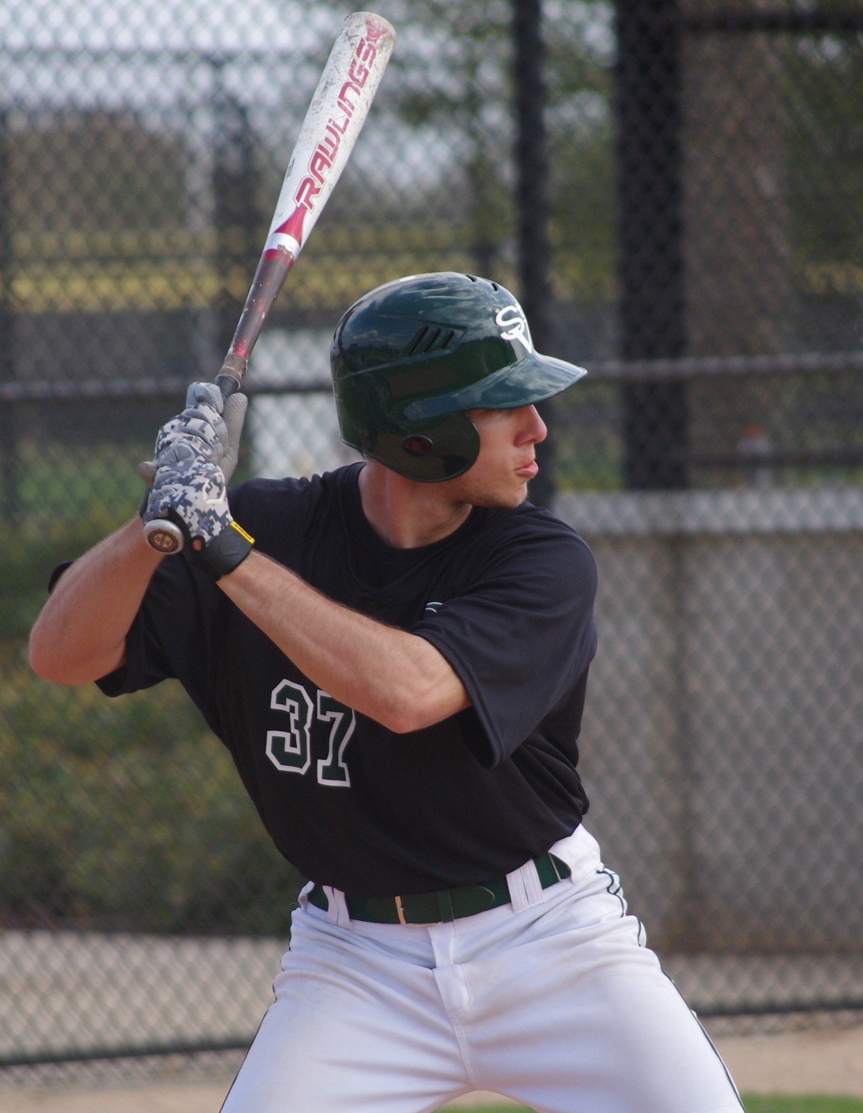 Luke Fox - Baseball - Saint Vincent College