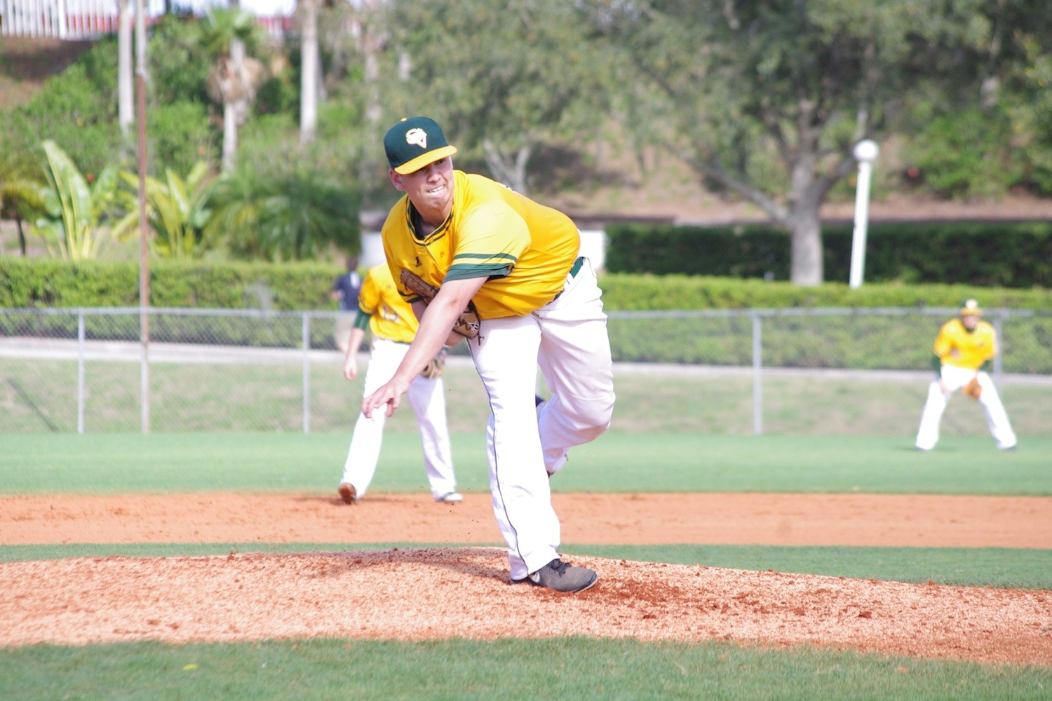 Kevin Silvio - Baseball - Saint Vincent College