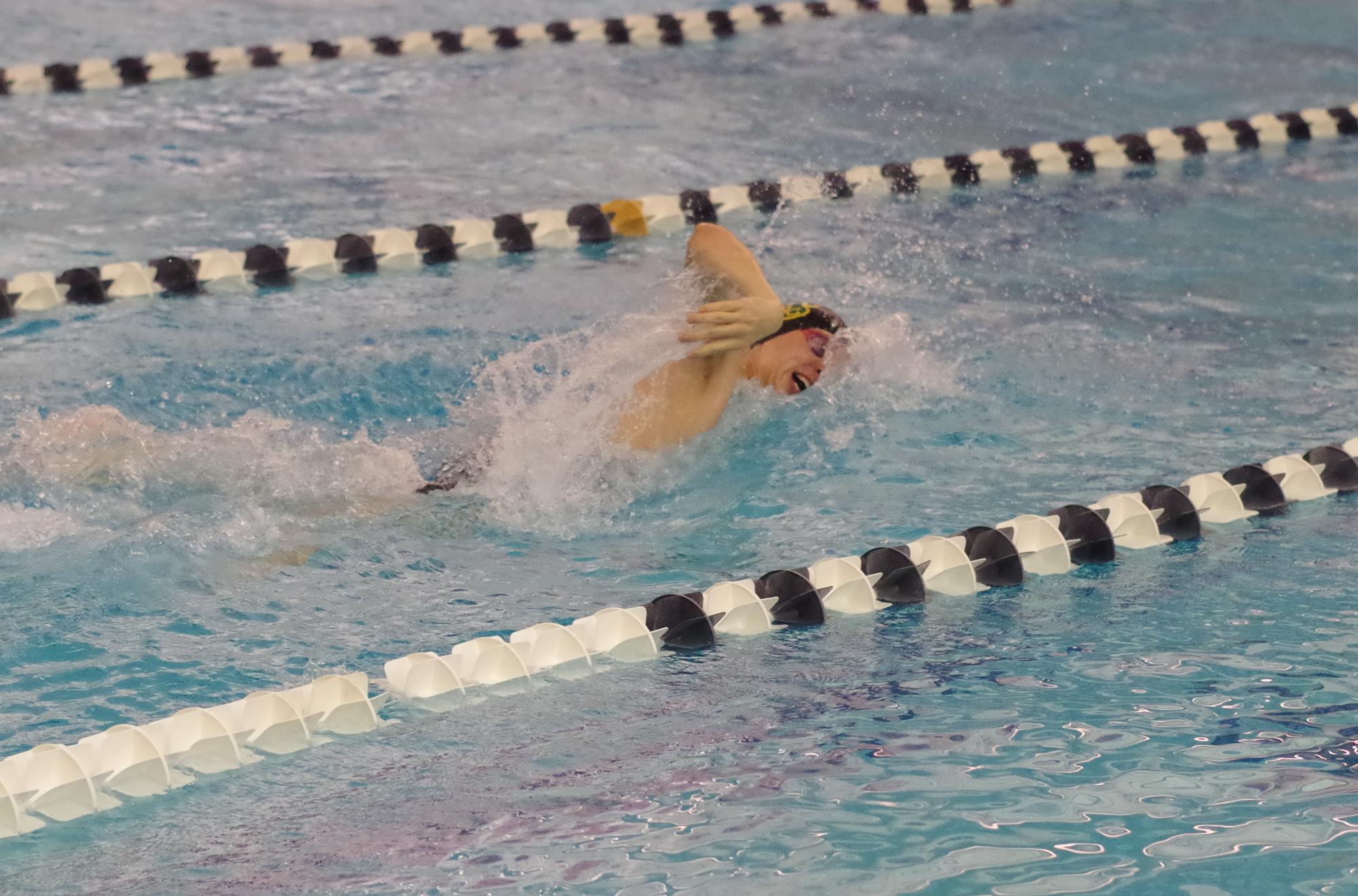Alex Bolen - Men's Swimming - Saint Vincent College