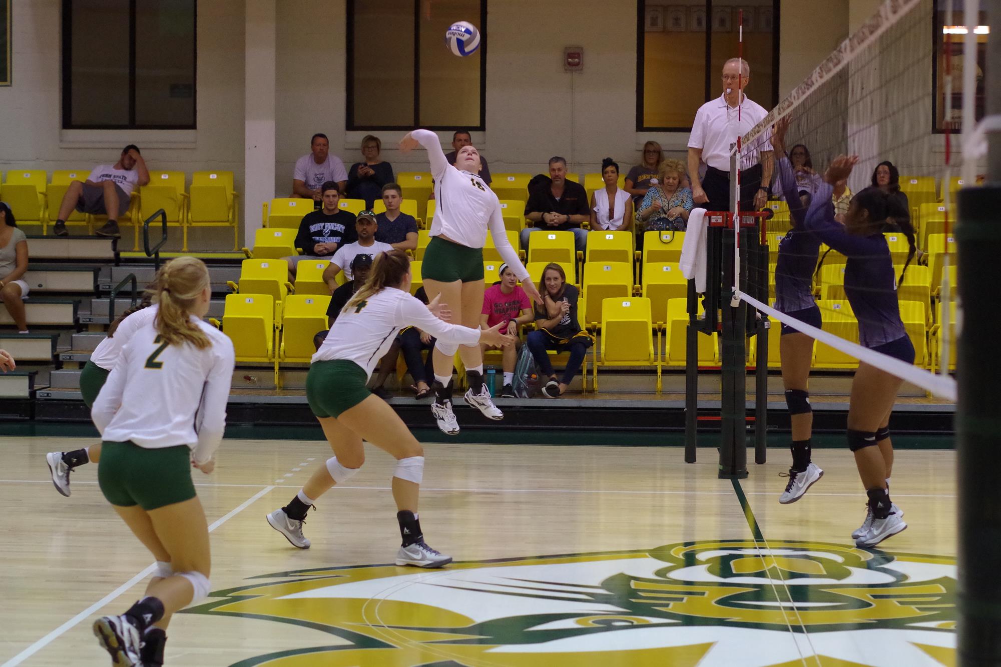 Sarah Wozniak - Women's Volleyball - Saint Vincent College