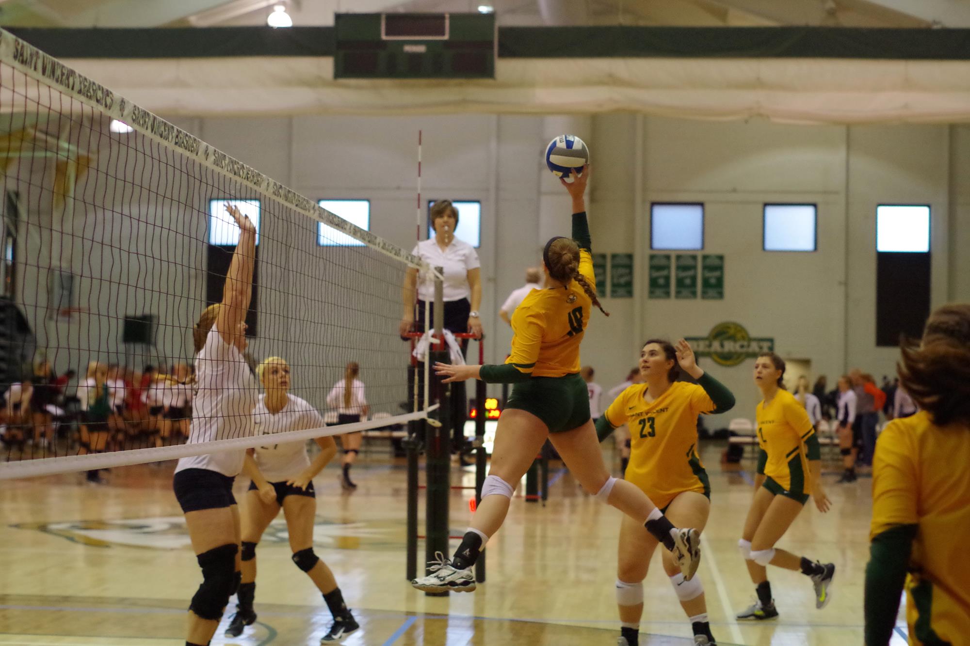 Sarah Wozniak - Women's Volleyball - Saint Vincent College