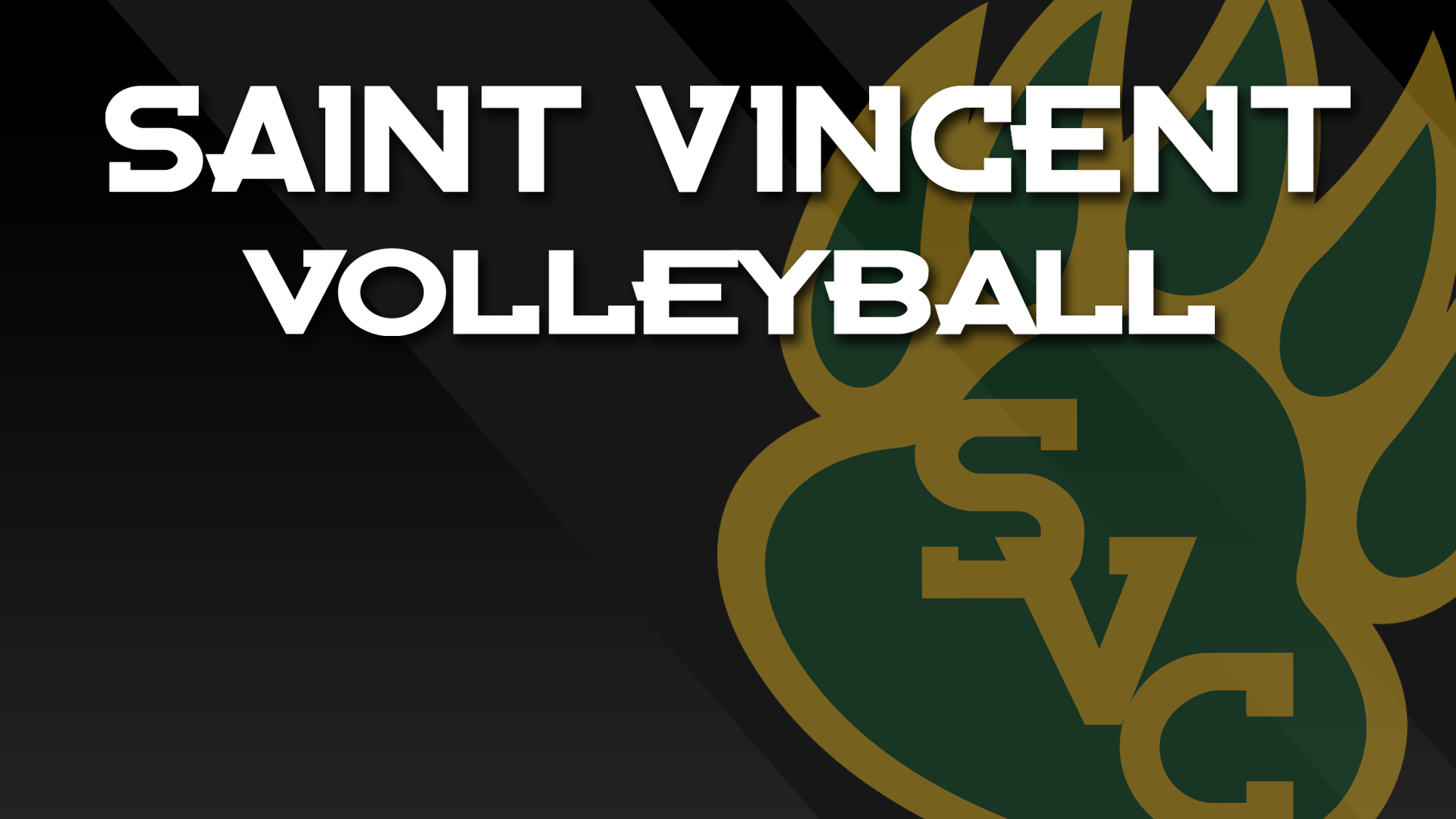 Men's Volleyball hosts Medaille - Saint Vincent College