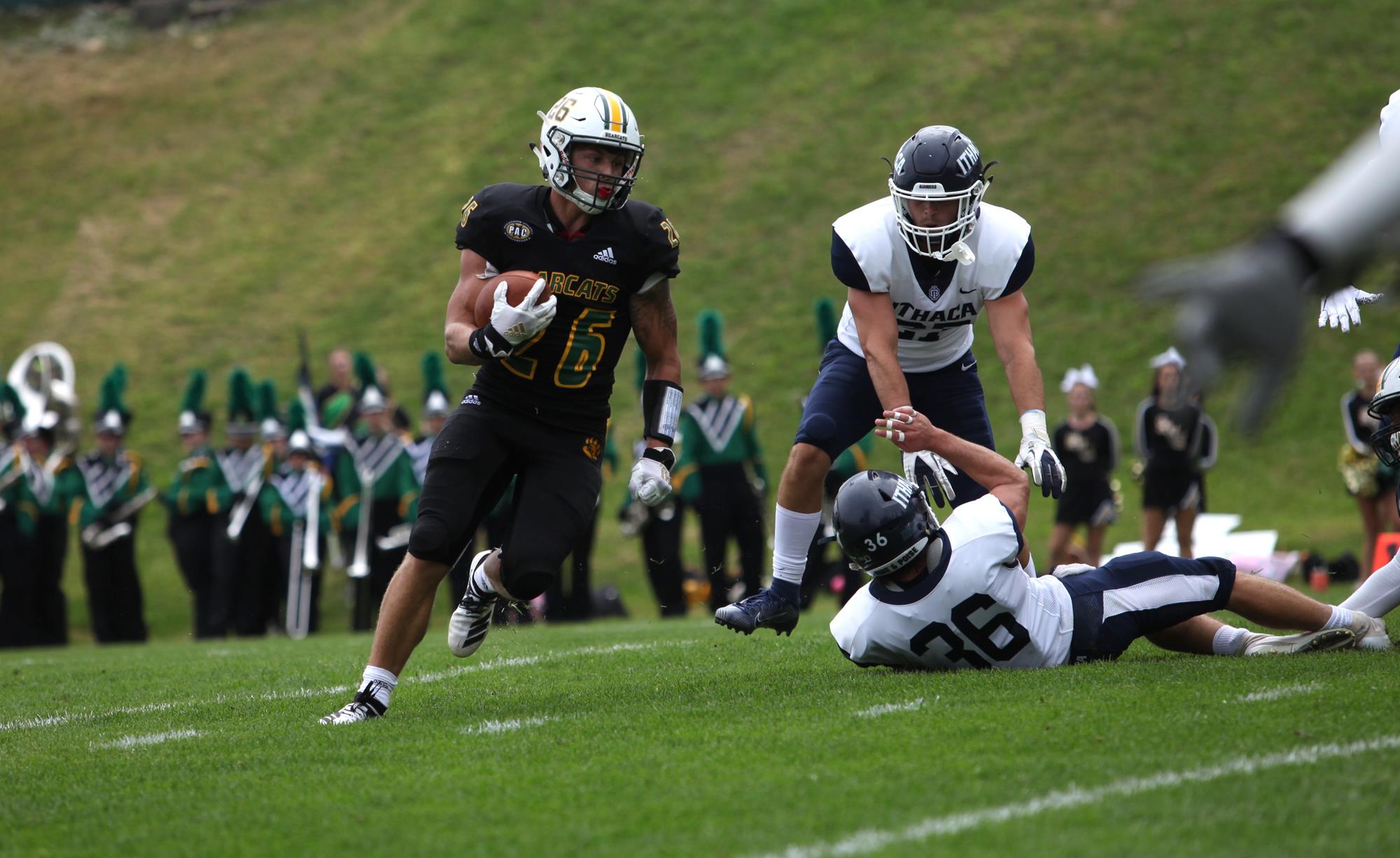 Mike Stasko - Football - Saint Vincent College