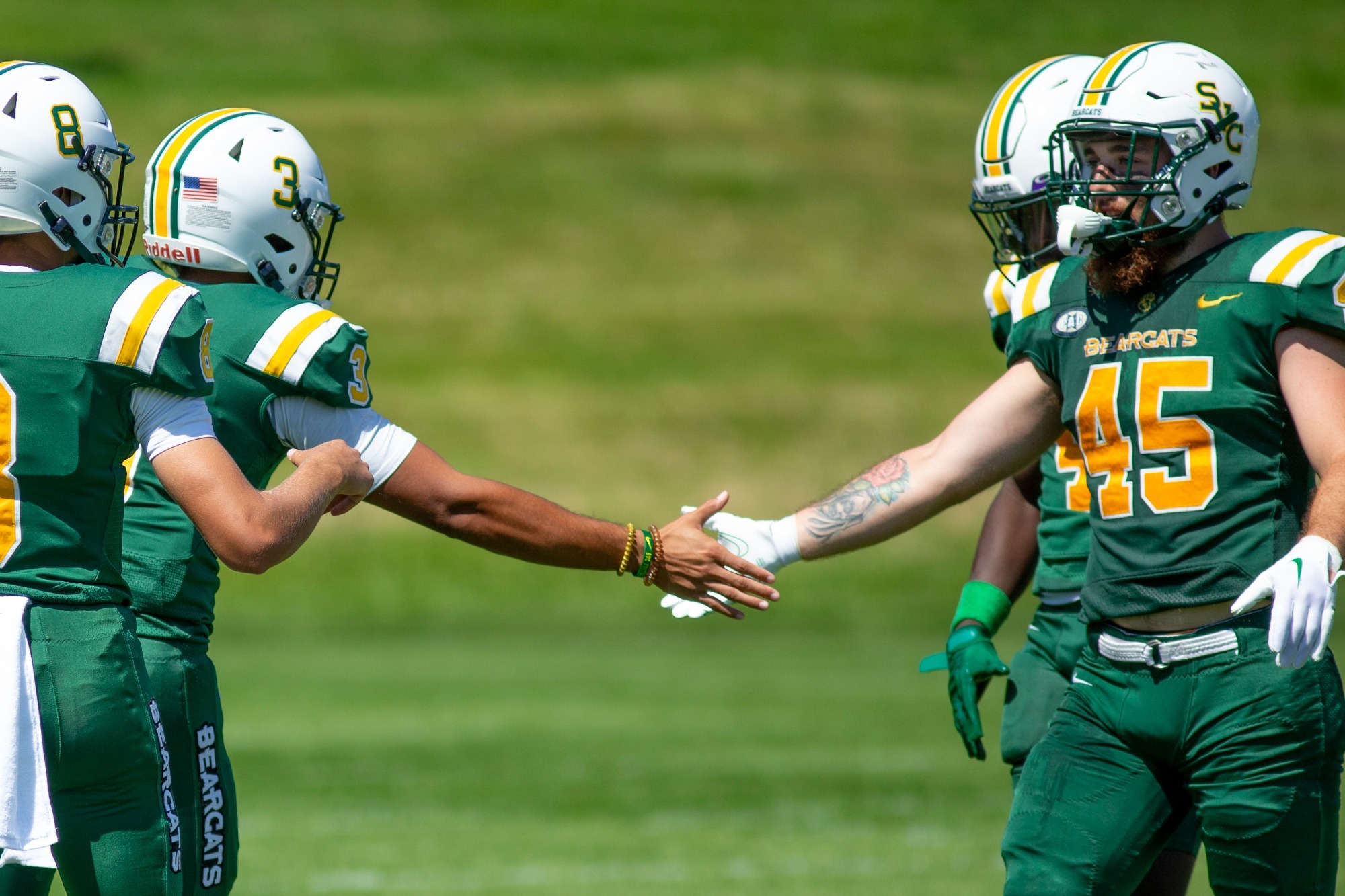 Nathan Sullivan - Football - Saint Vincent College