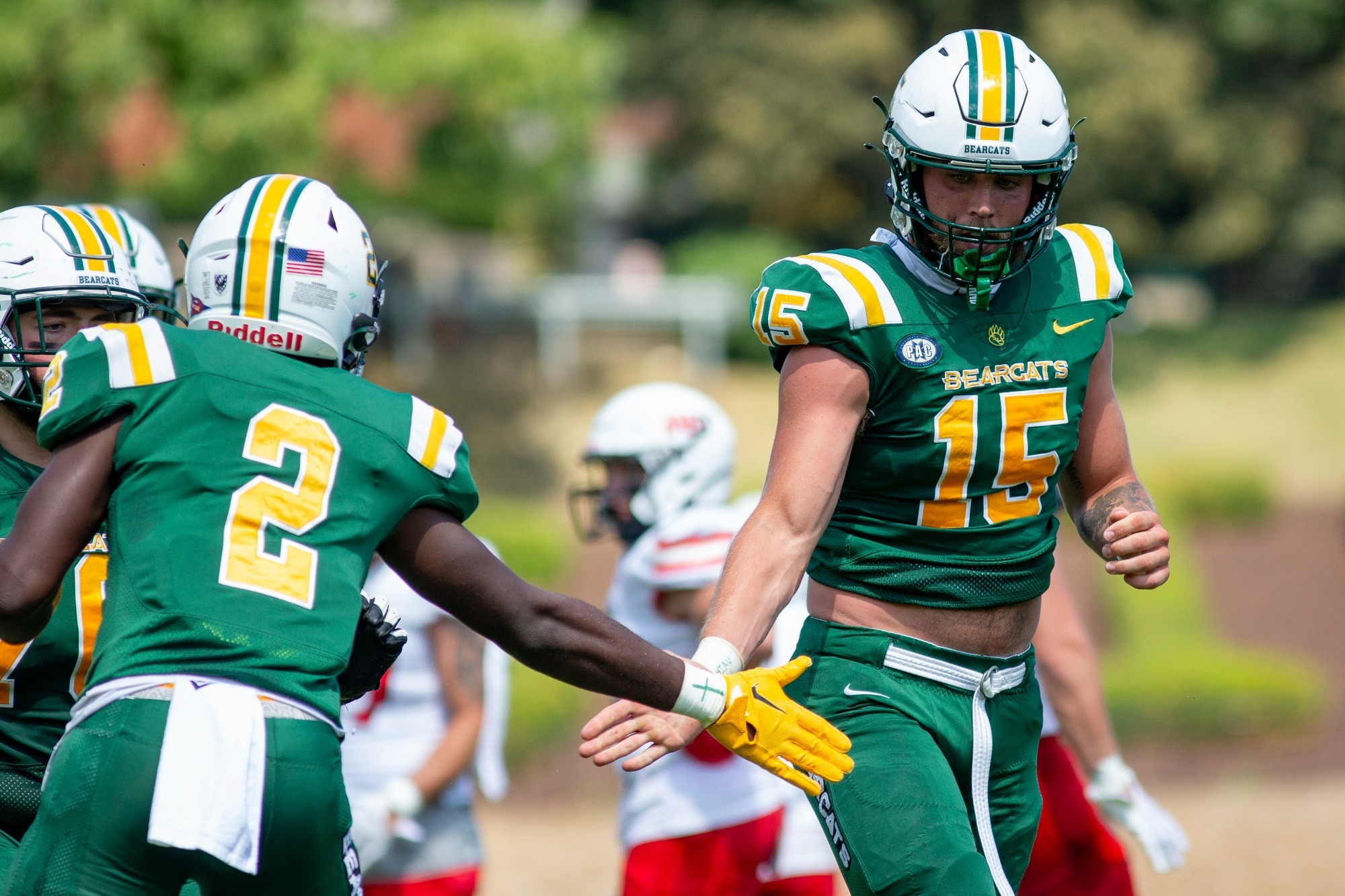 Max Pisula - Football - Saint Vincent College
