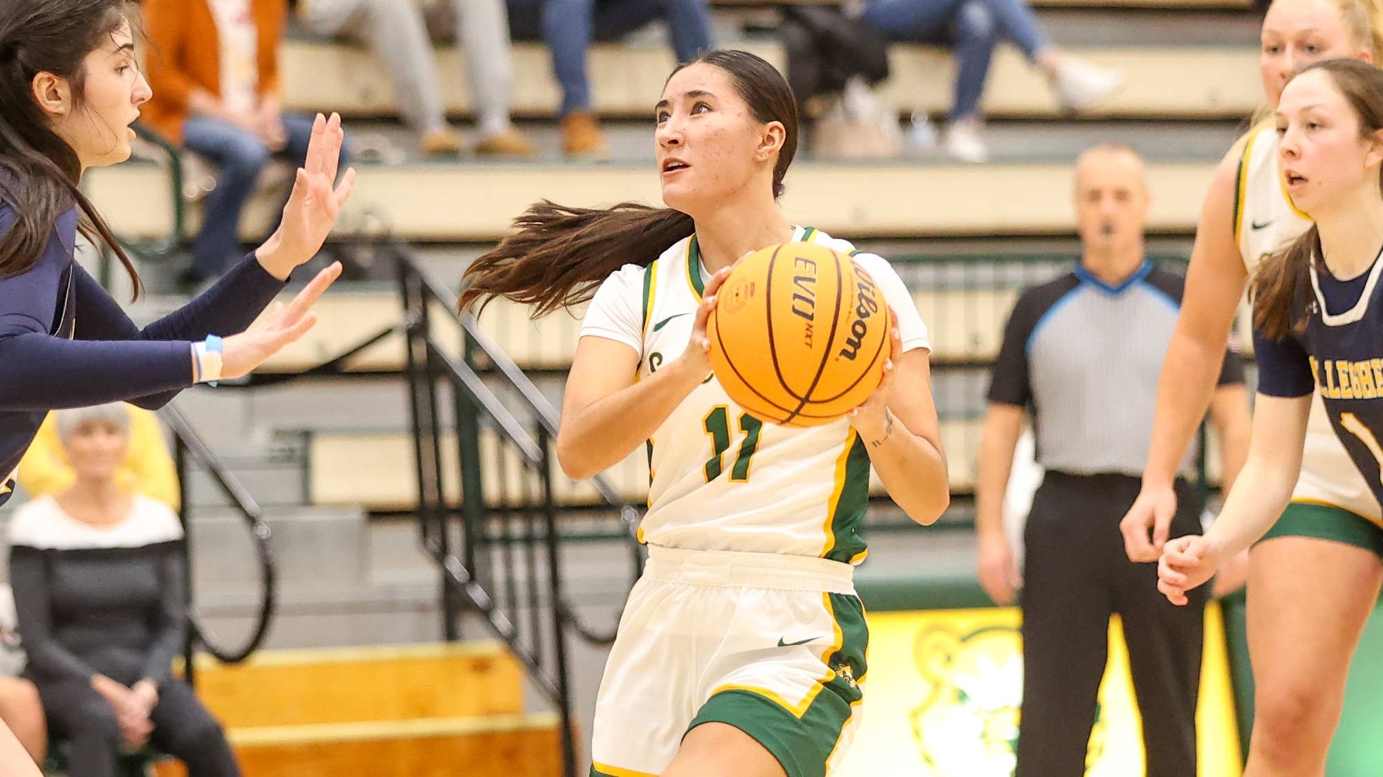 Ashley Lippold - Women's Basketball - Saint Vincent College