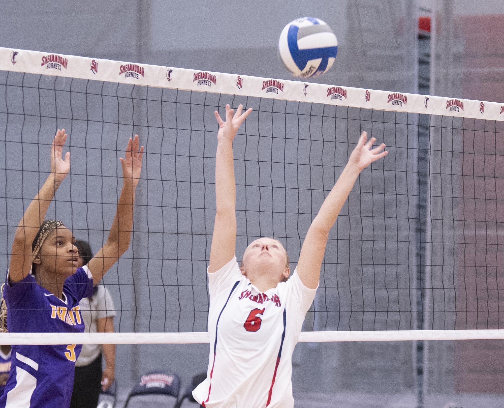 Megan Hillyard - 2020 - Women's Volleyball - Shenandoah University