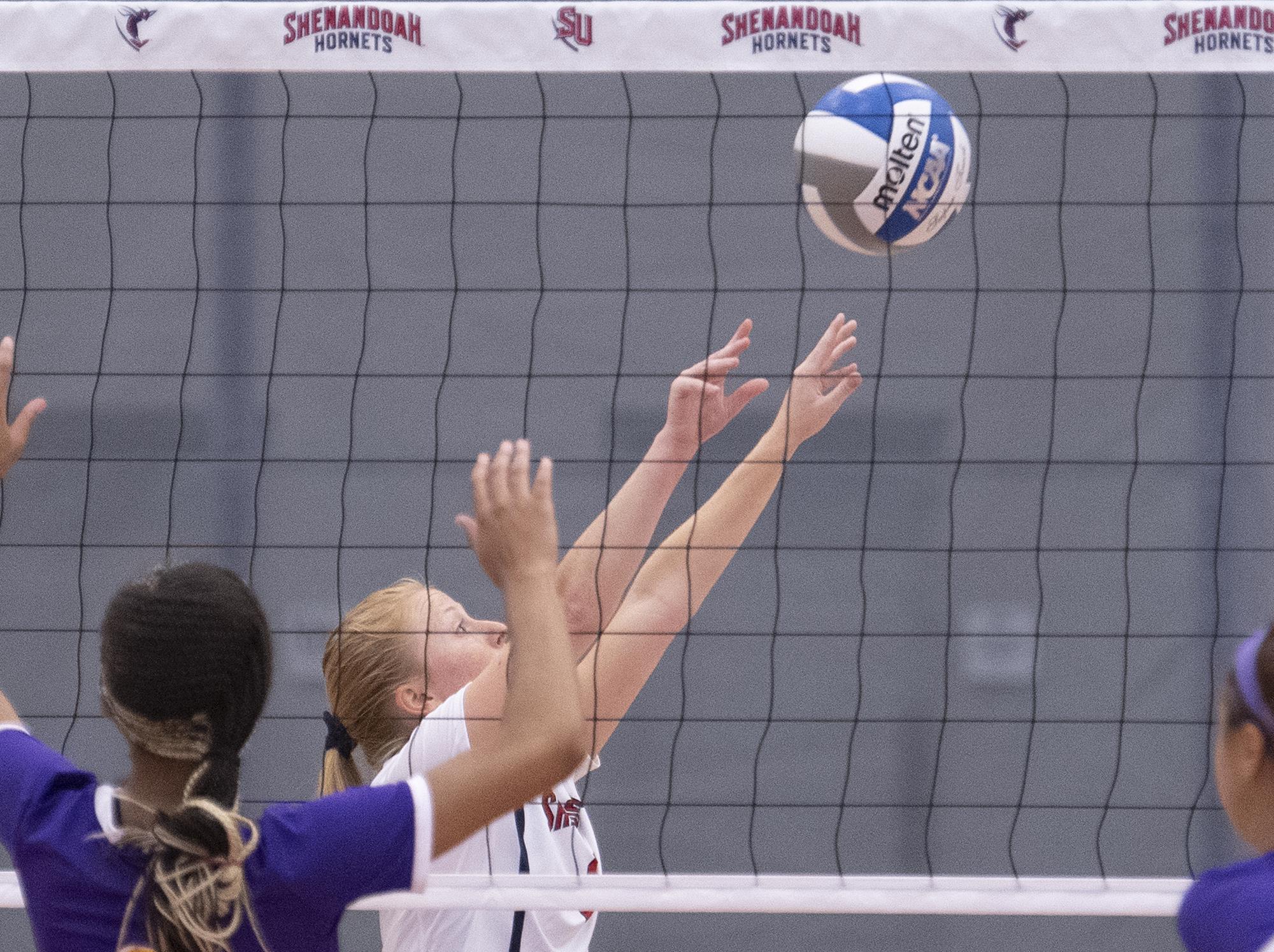 Megan Hillyard - 2020 - Women's Volleyball - Shenandoah University