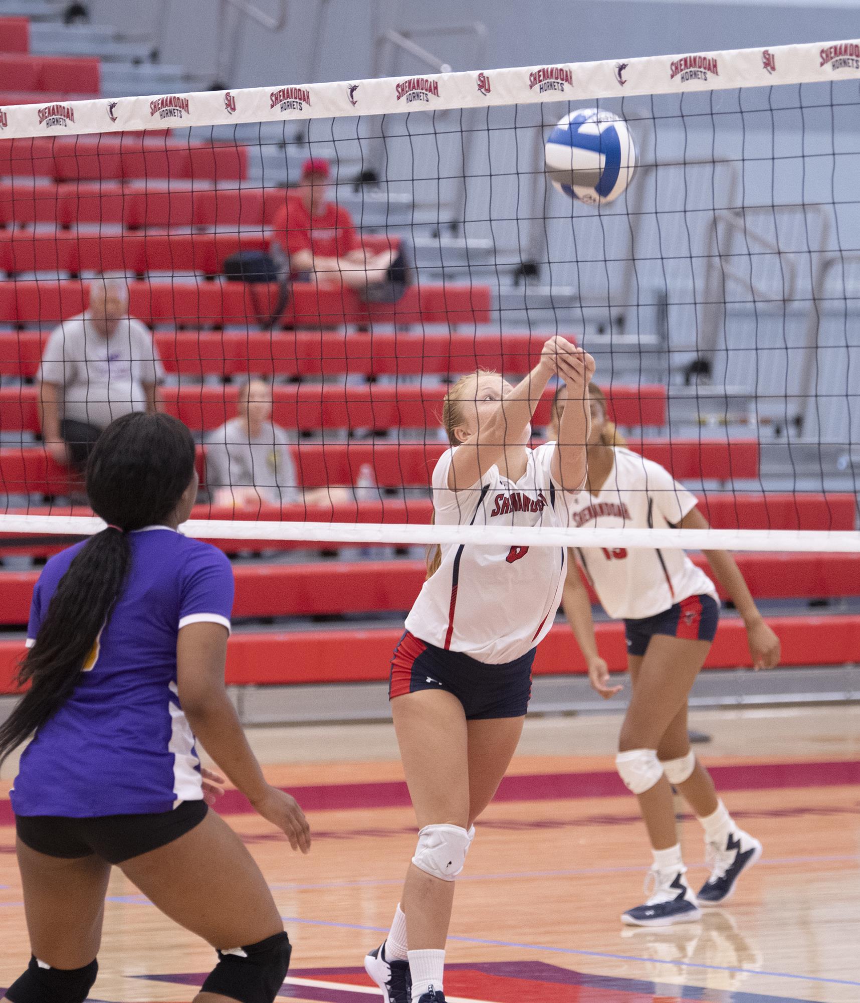 Megan Hillyard - 2020 - Women's Volleyball - Shenandoah University