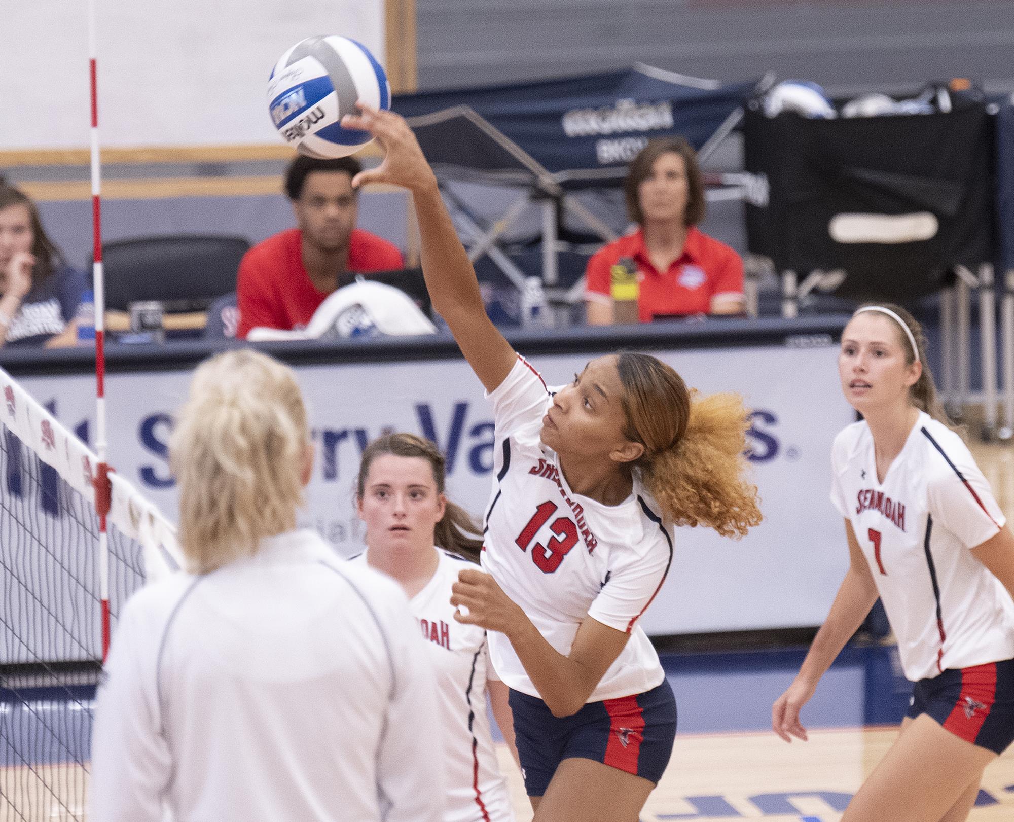 Kieran Turner - 2019 - Women's Volleyball - Shenandoah University