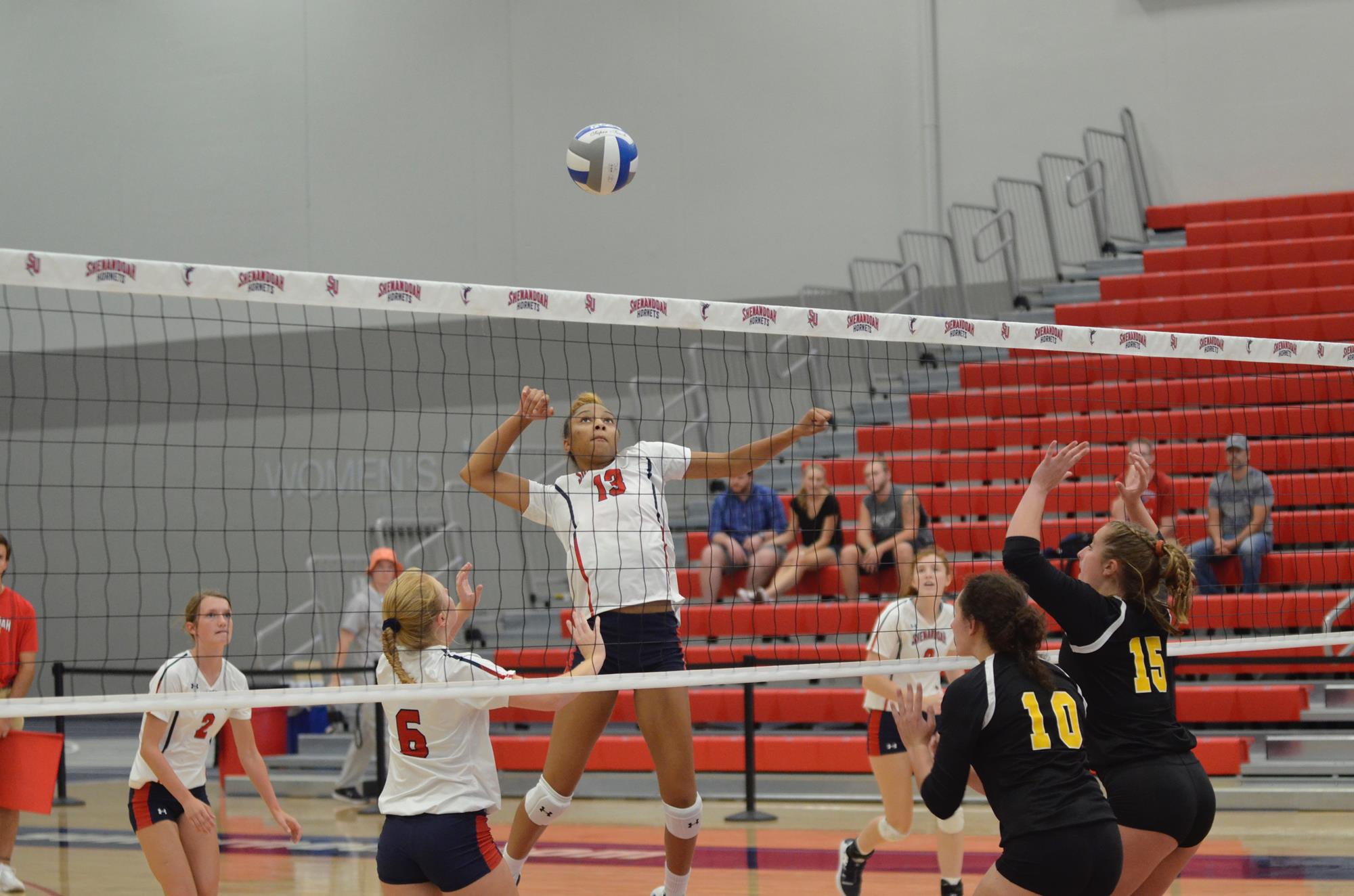 Kieran Turner - 2019 - Women's Volleyball - Shenandoah University