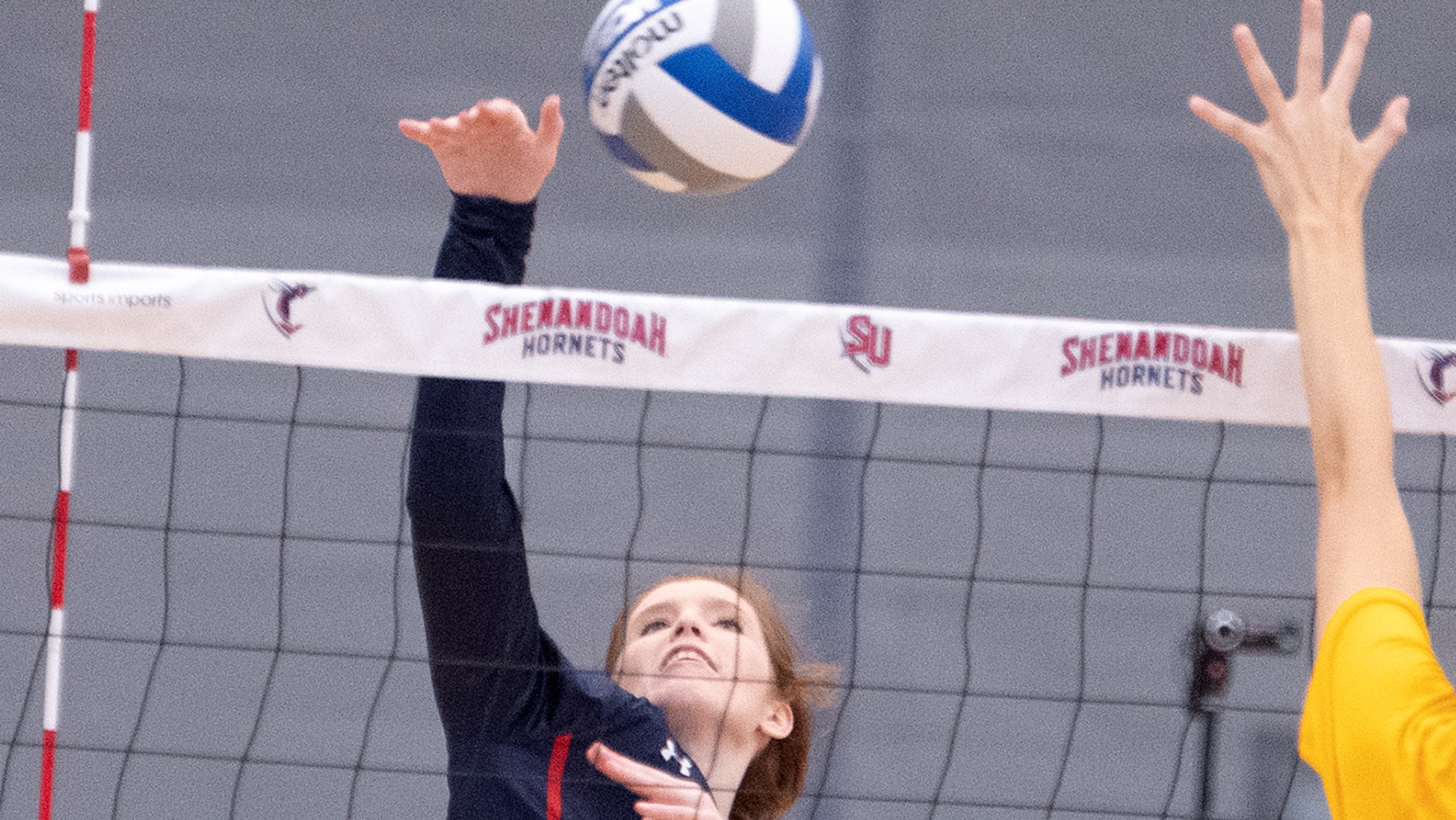 Sabrina Semo - 2019 - Women's Volleyball - Shenandoah University
