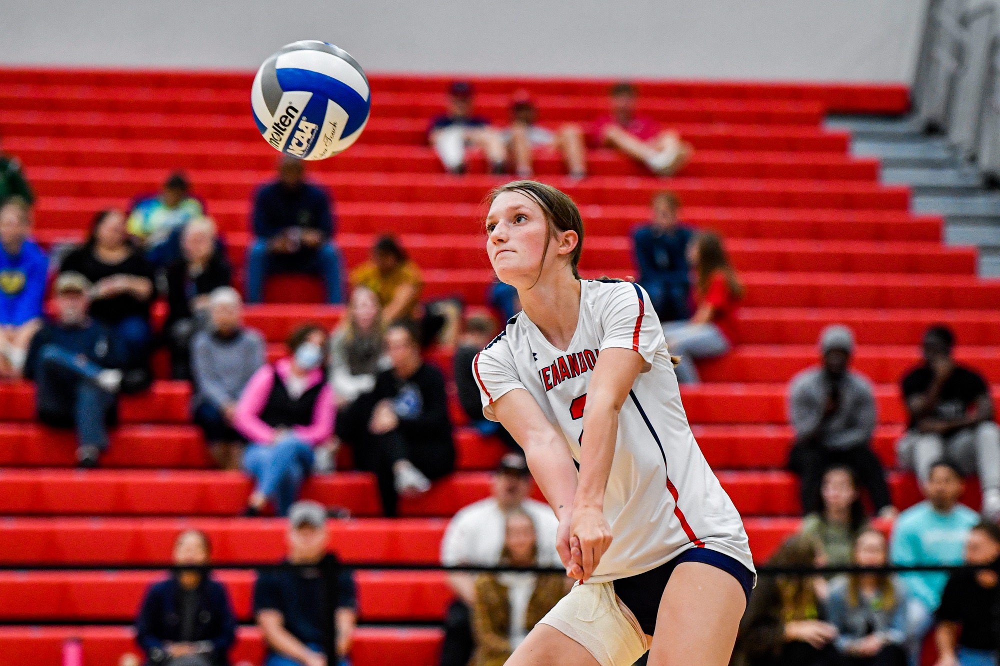 Marlins Top Volleyball - Shenandoah University