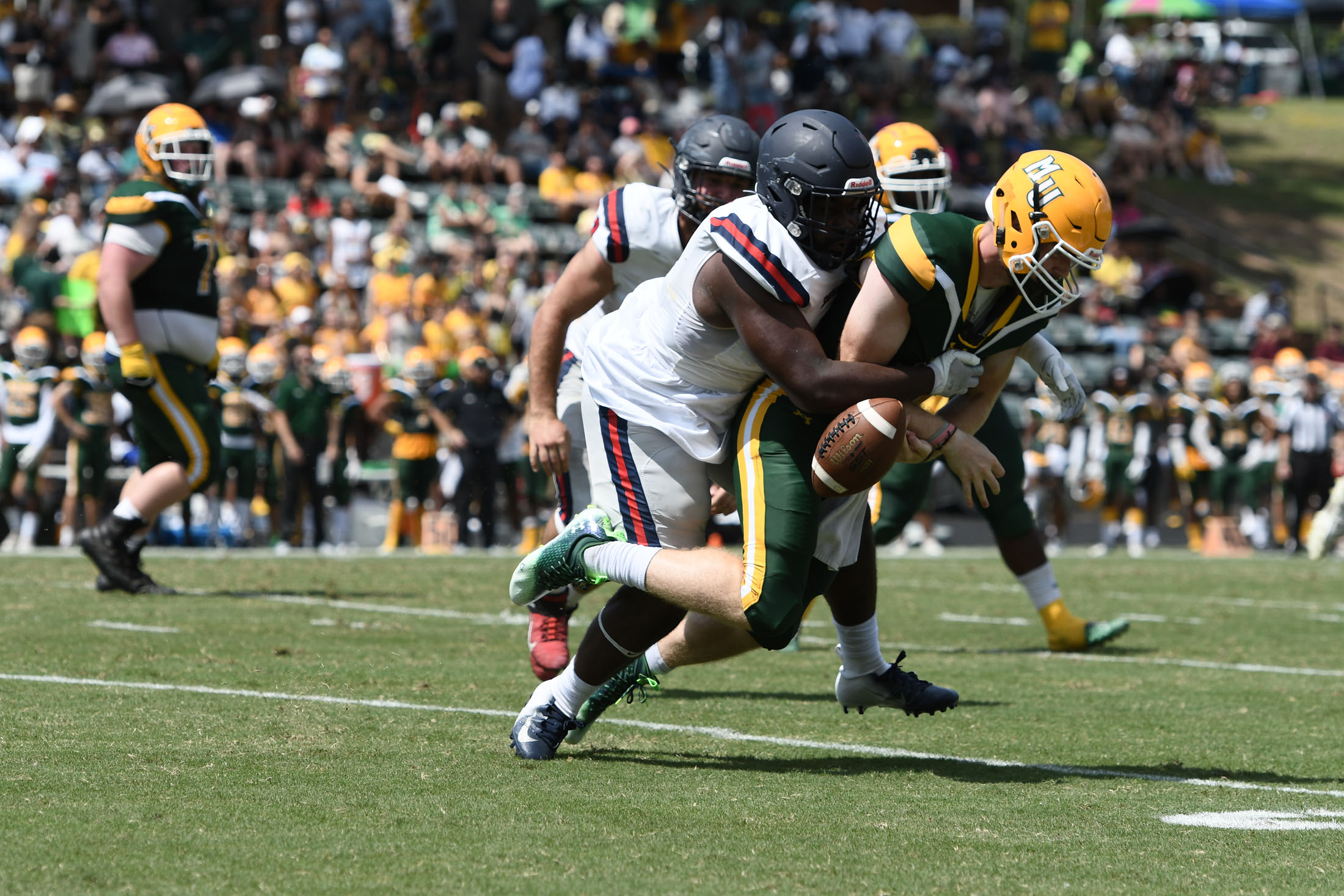 Football Halts Monarchs - Shenandoah University