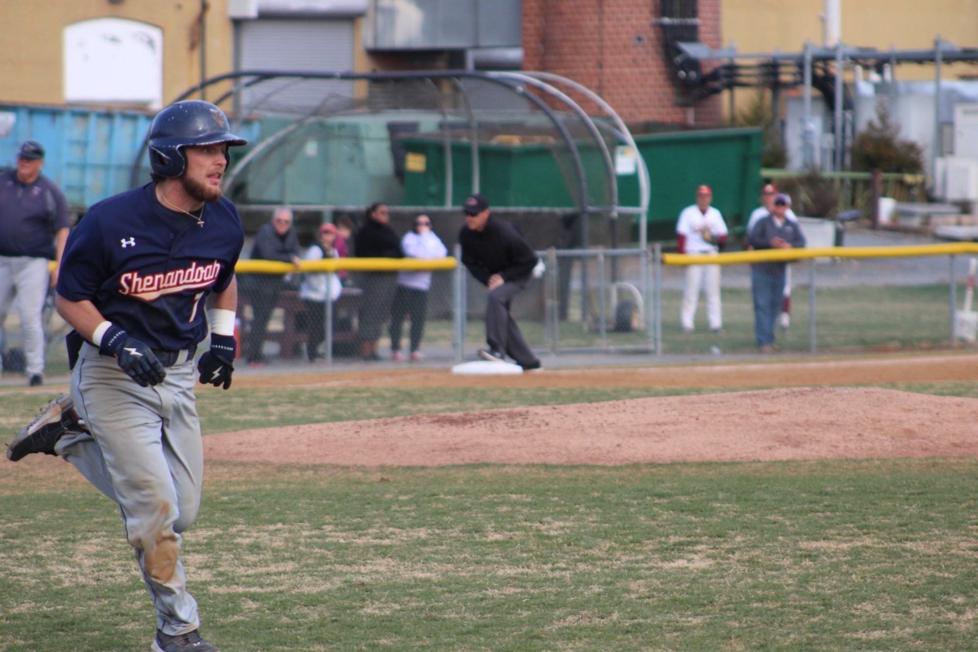 Frankie Ritter - 2024 - Baseball - Shenandoah University