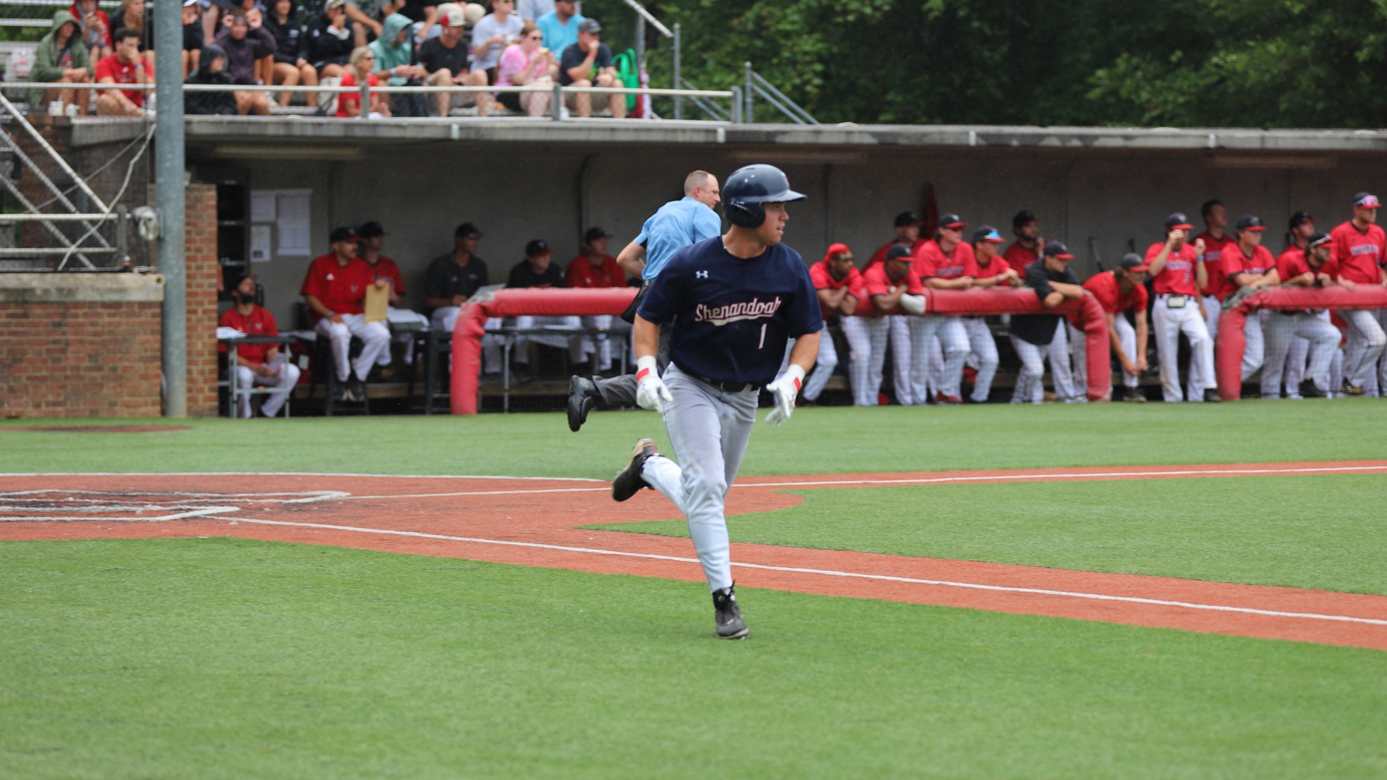 Colby Martin - 2023 - Baseball - Shenandoah University
