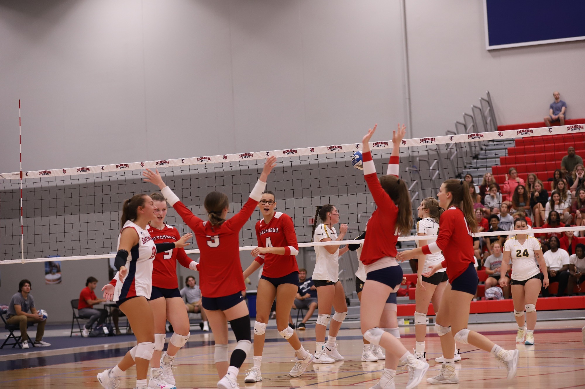 Women's Volleyball Splits On Opening Day of Shenandoah Invitational ...