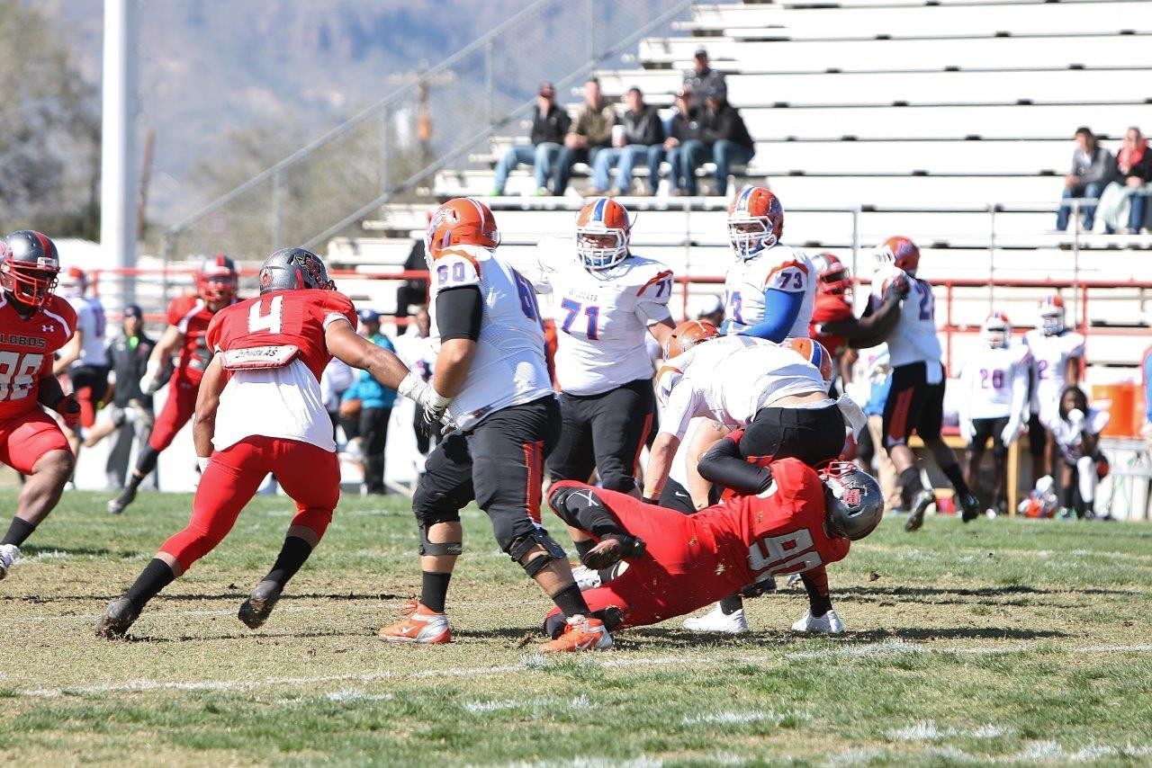 Daryn Young - Football - Sul Ross State University Athletics