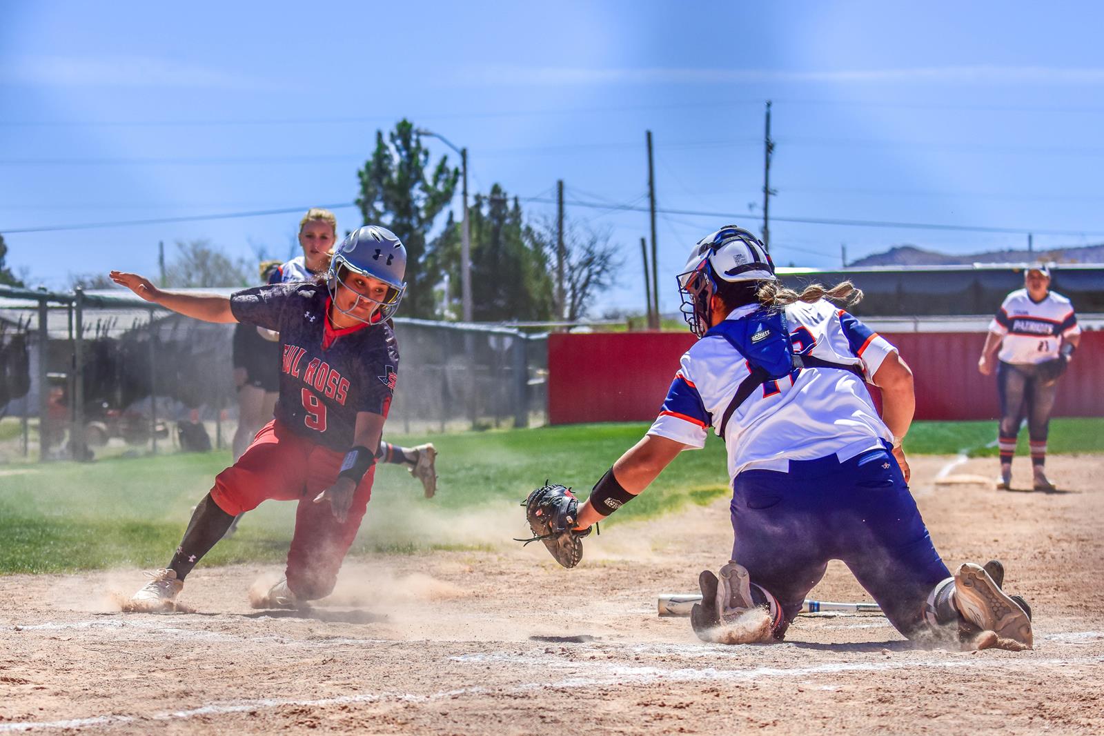 Halie Guillen - Softball - Sul Ross State University Athletics
