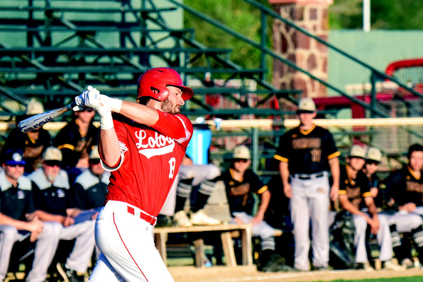 Tim Johnson - Baseball - Sul Ross State University Athletics