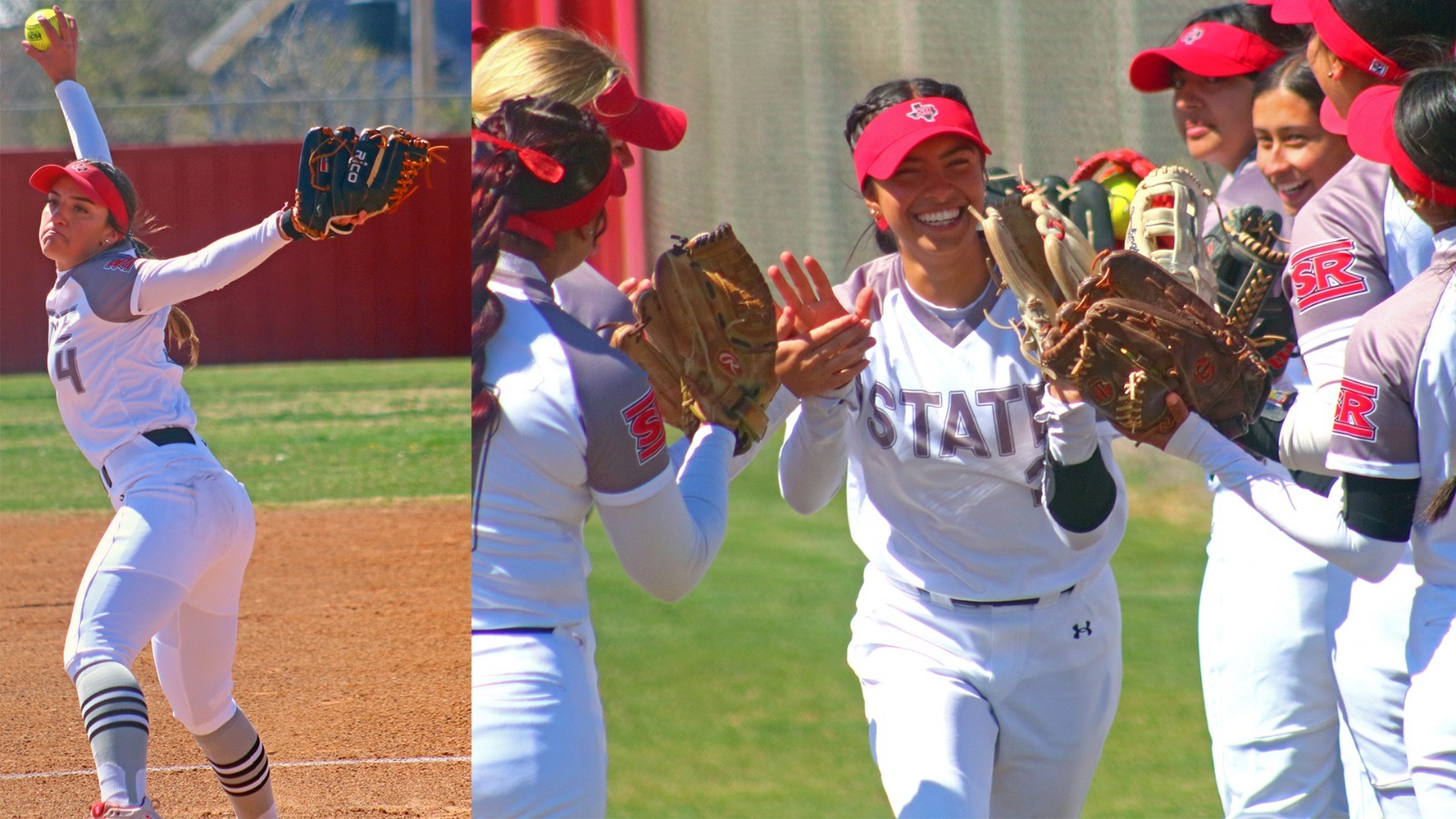 SOFTBALL: Lobos comeback effort falls short in Game 3 against Cowgirls ...