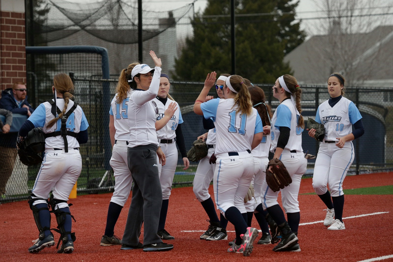 Cristen Nichols Steps Down as the Onondaga Community College Softball ...