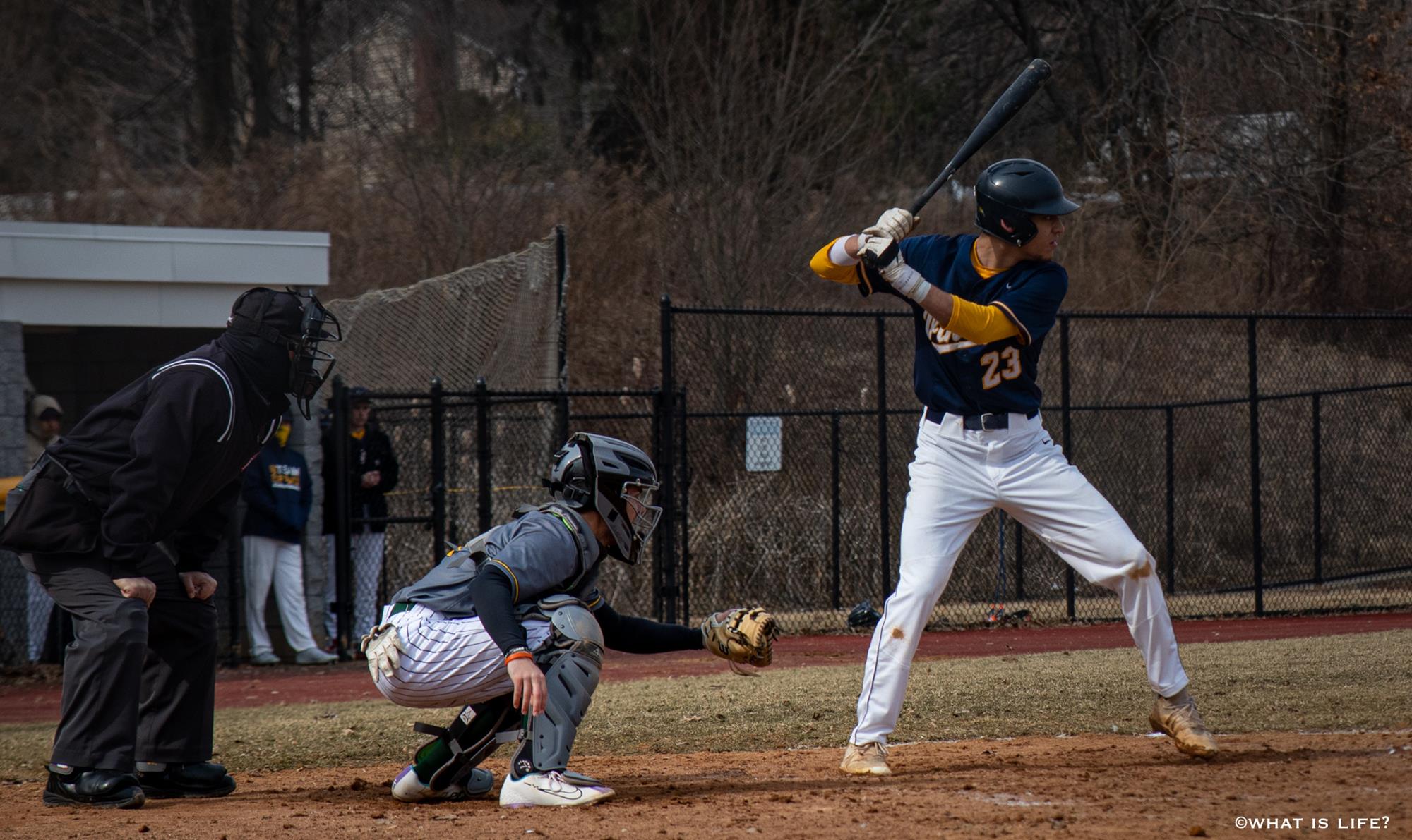 Lucas Feliciano - Baseball - Westchester Community College Athletics