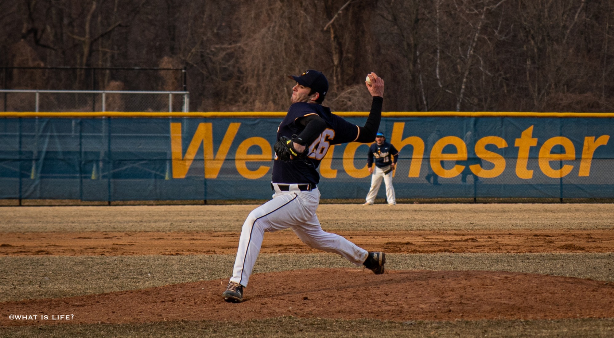 Thomas Browne - Baseball - Westchester Community College Athletics