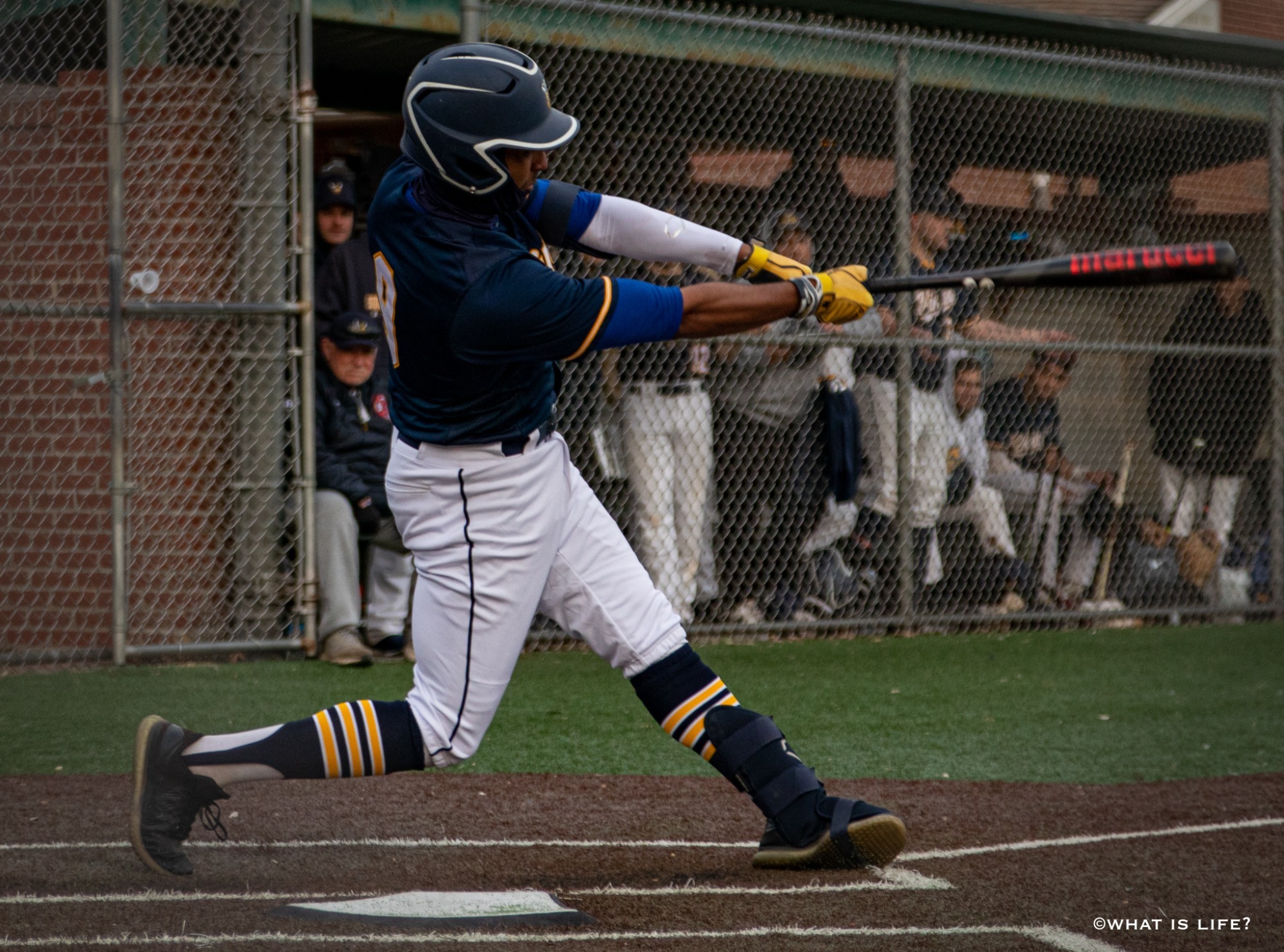 Friaswinging Ways Lead Vikings To Double Header Victory Over Raritan