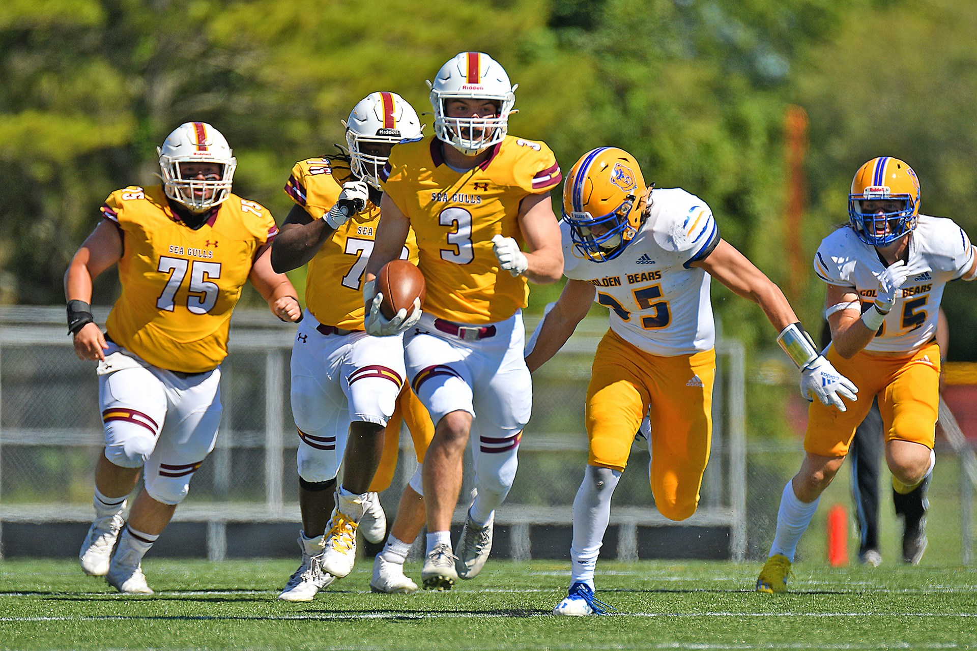 No. 22 Football Game Preview vs. Albright | Week 1 - Salisbury University