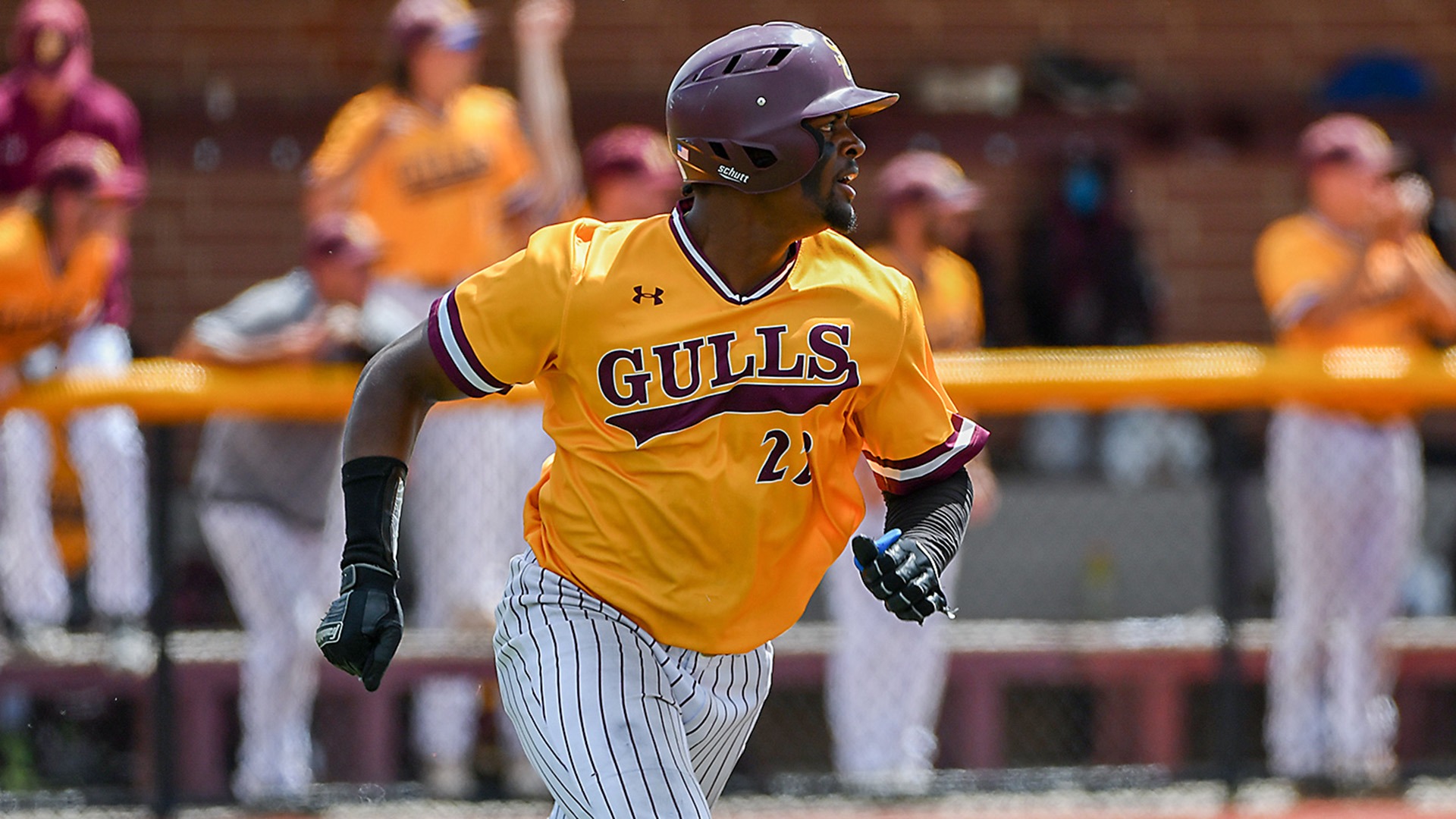 Kavi Caster - 2023 - Baseball - Salisbury University